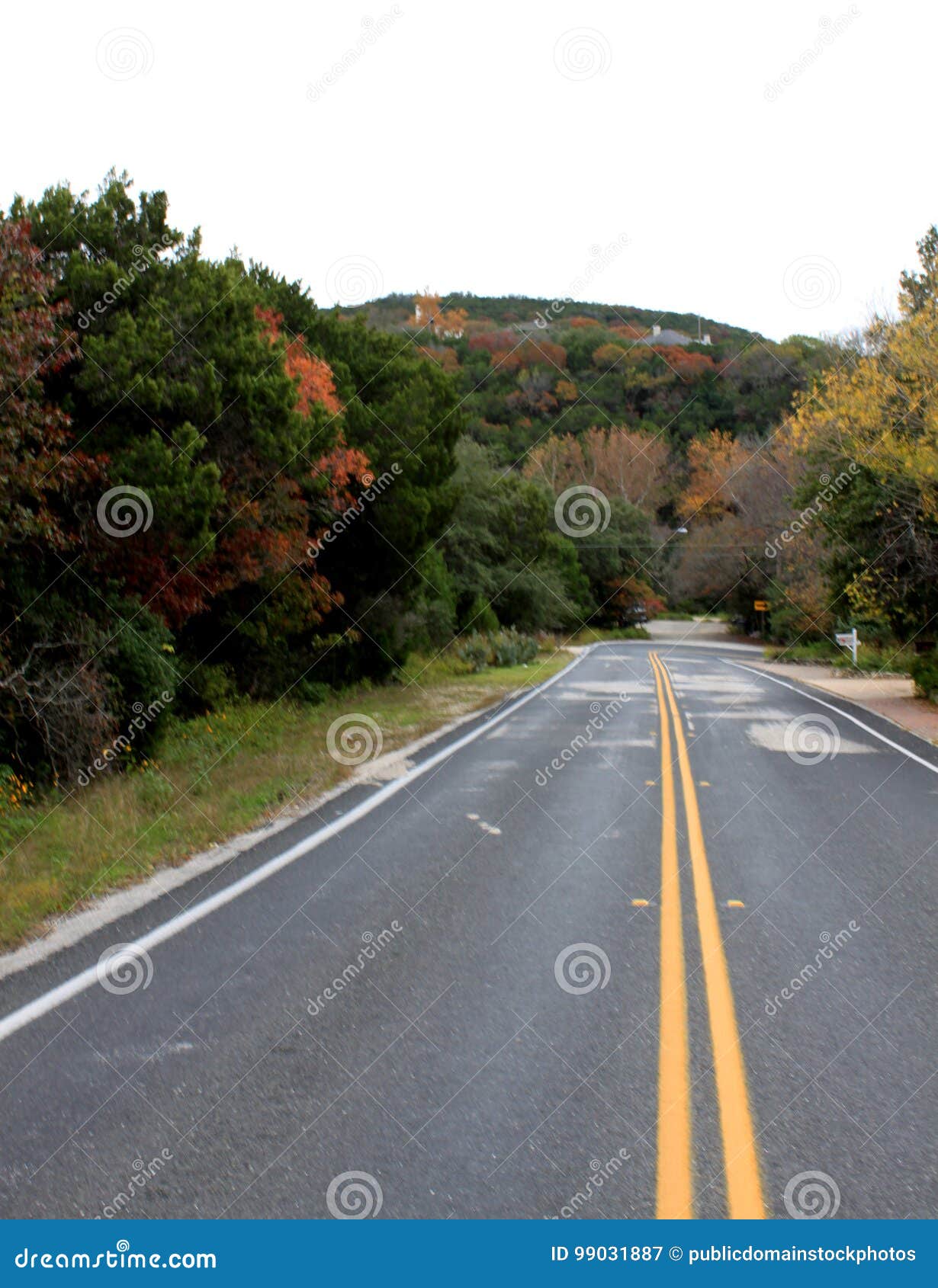 The Road To Mt. Bonnell Picture. Image: 99031887