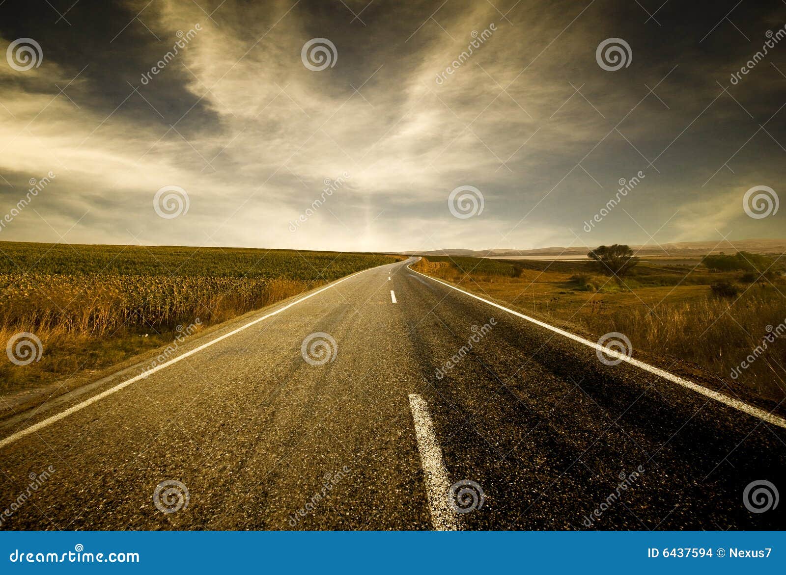 Road to Nowhere stock photo. Image of lane, highway, destination - 6437594