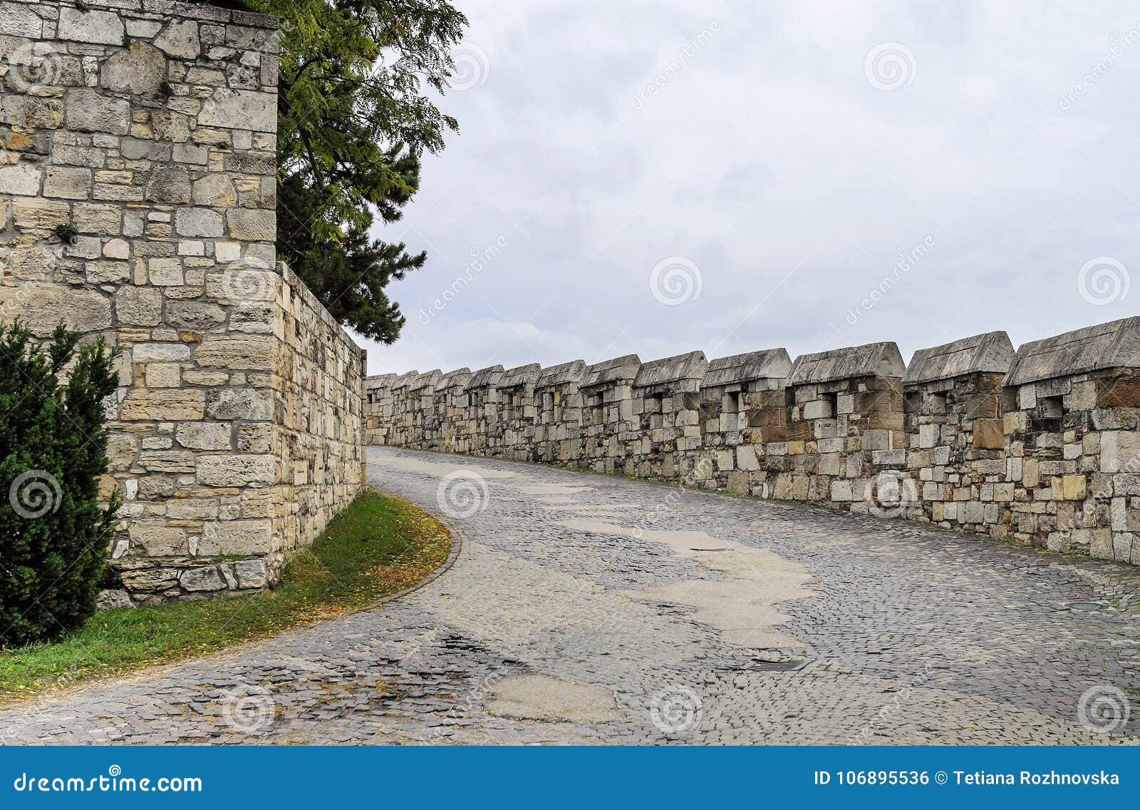 Road to the old castle. stock photo. Image of castle - 106895536