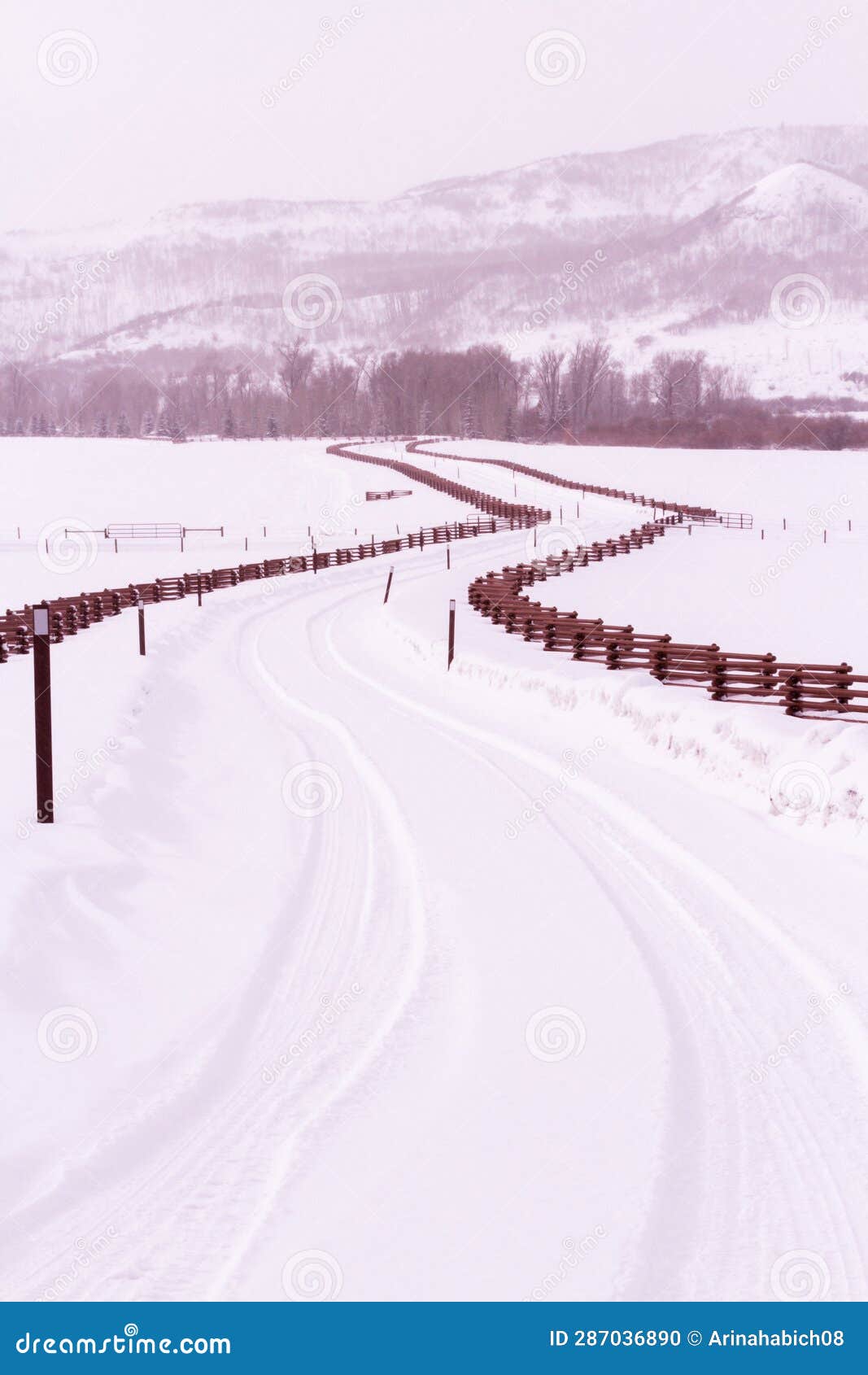 Farm road stock photo. Image of transportation, nature - 287036890