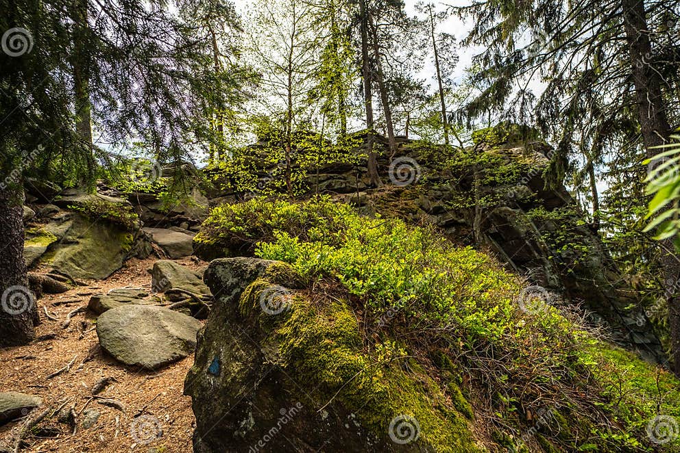 Road to a rock cliff stock image. Image of tree, travel - 183768235