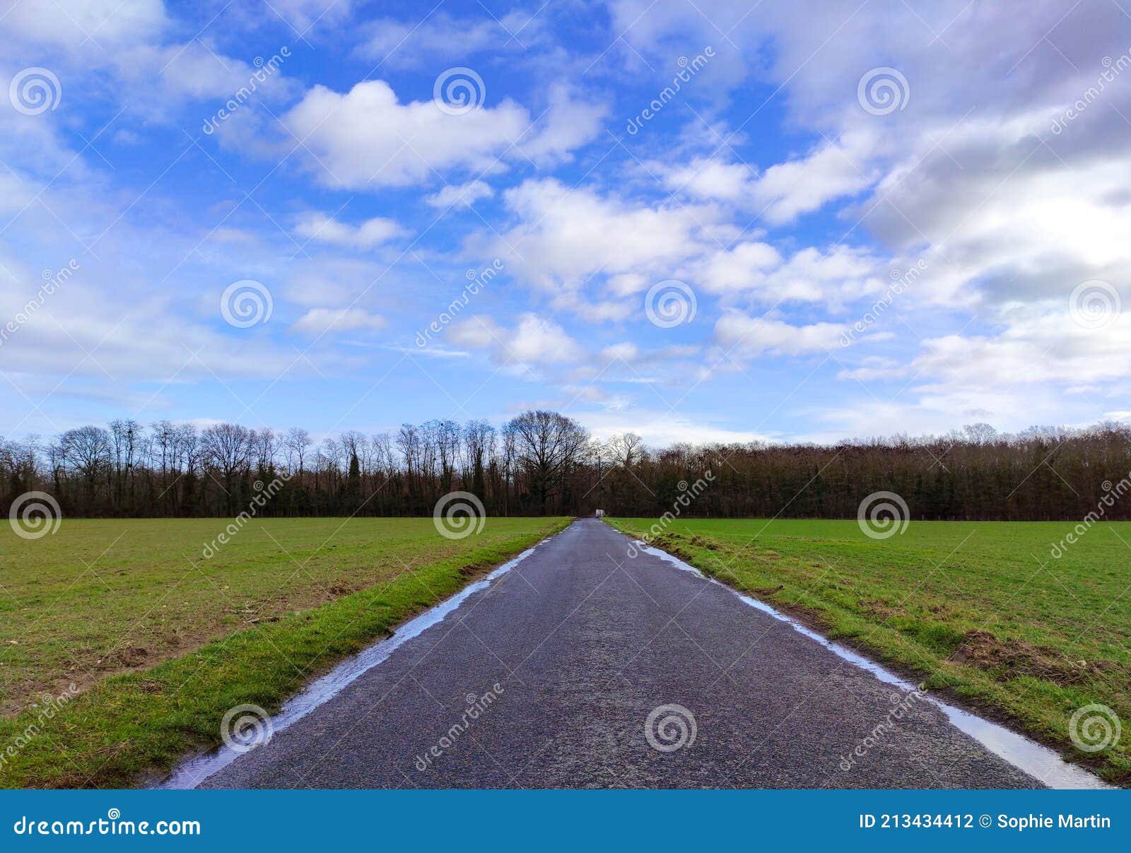 Road to somewhere stock photo. Image of prairie, grass - 213434412