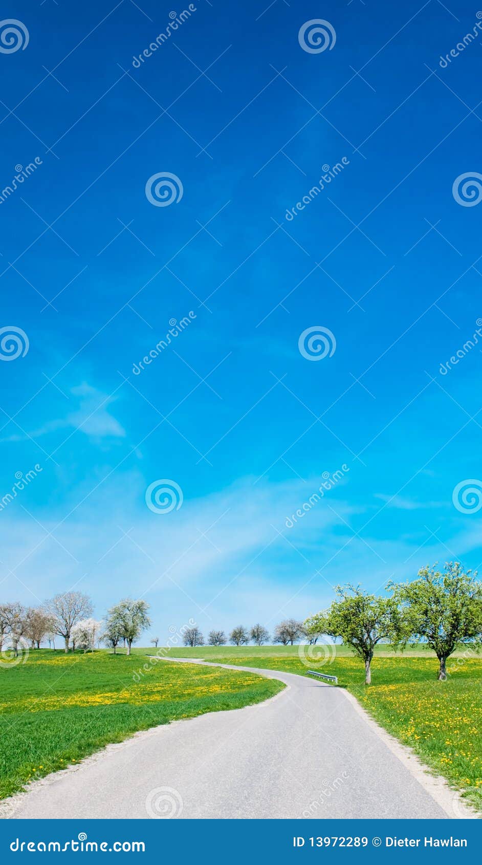 Road to the Spring stock image. Image of light, environment - 13972289