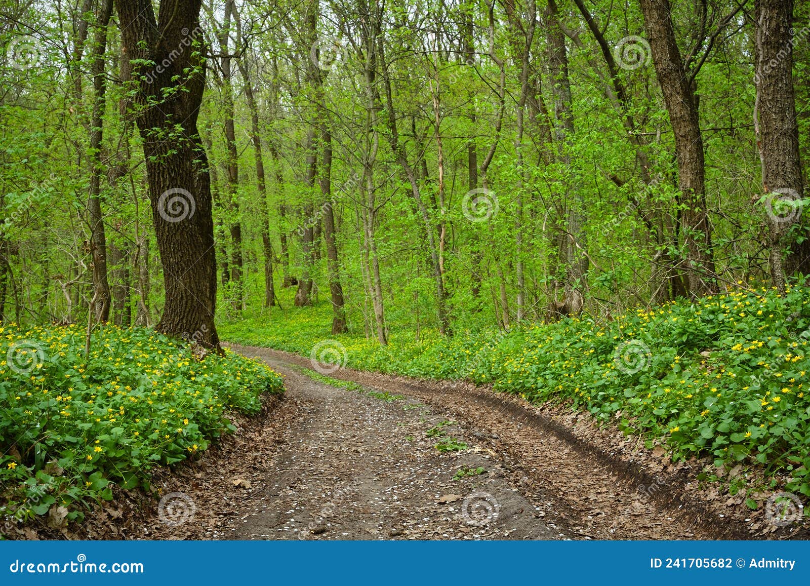 Road To Spring. Dirt Road through Yellow Spring Forest Flowers Stock ...