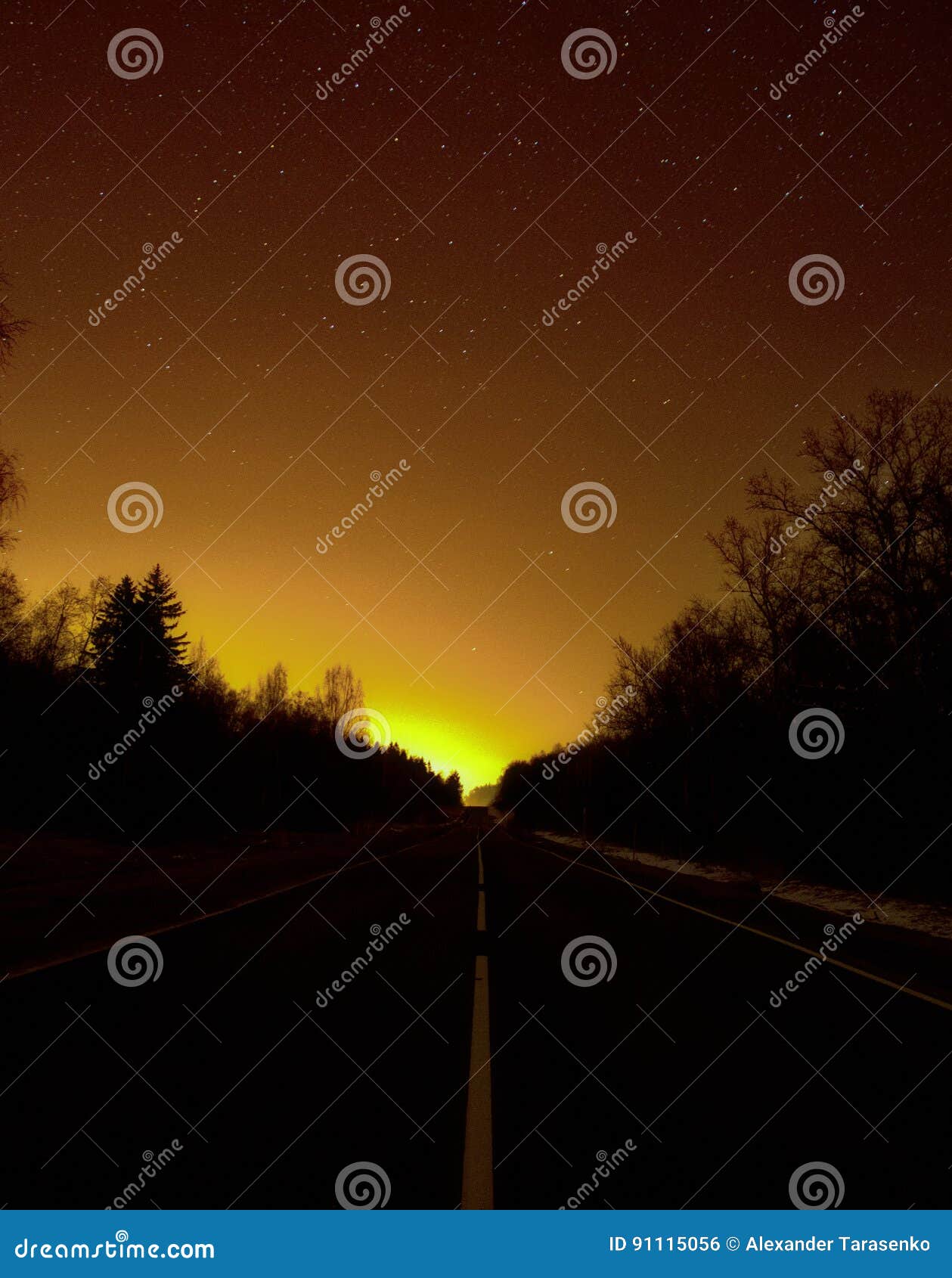 Road To the Stars between the Wall of Trees Stock Photo - Image of ...