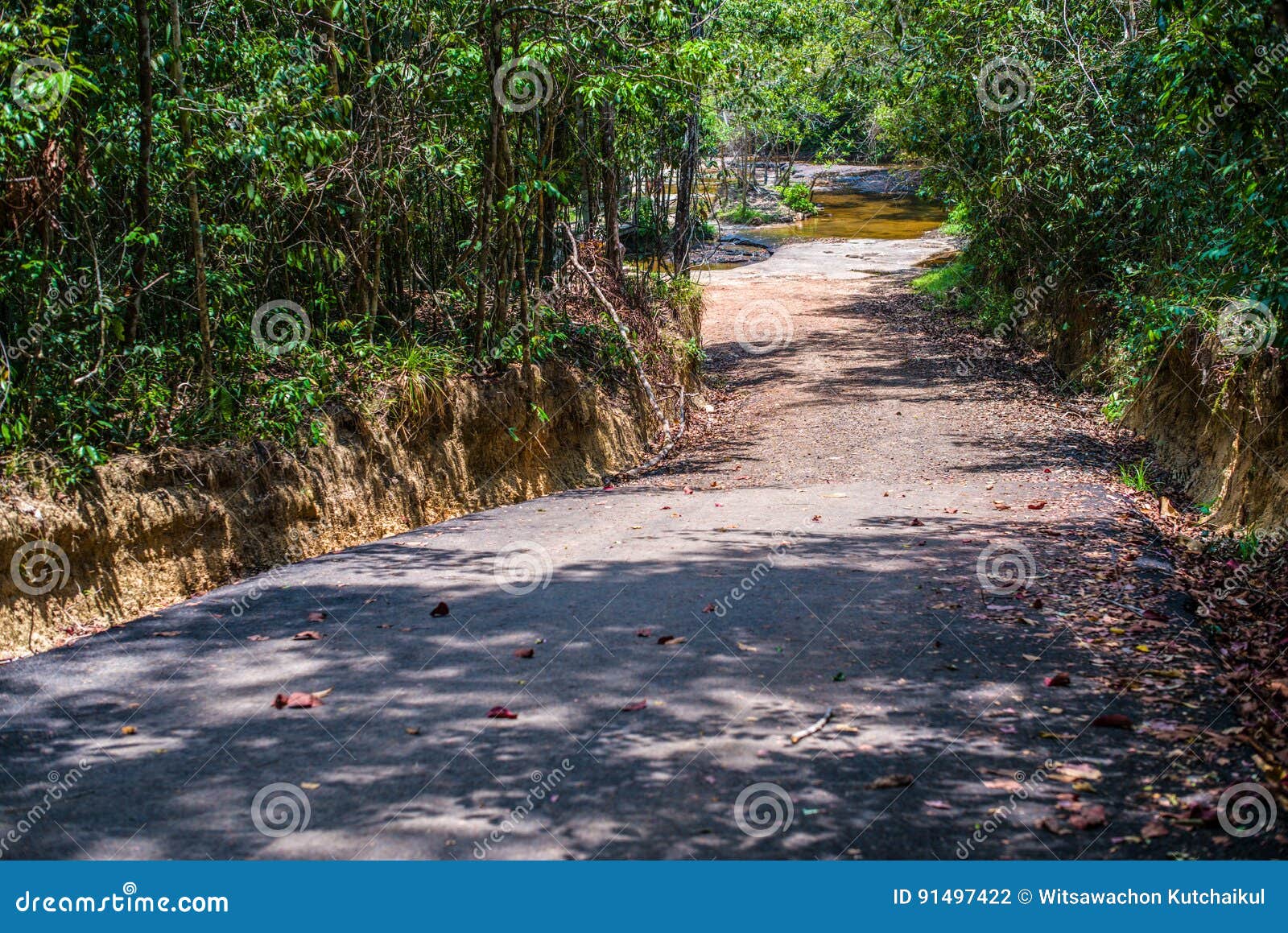 The road to the stream stock photo. Image of valley, mountain - 91497422