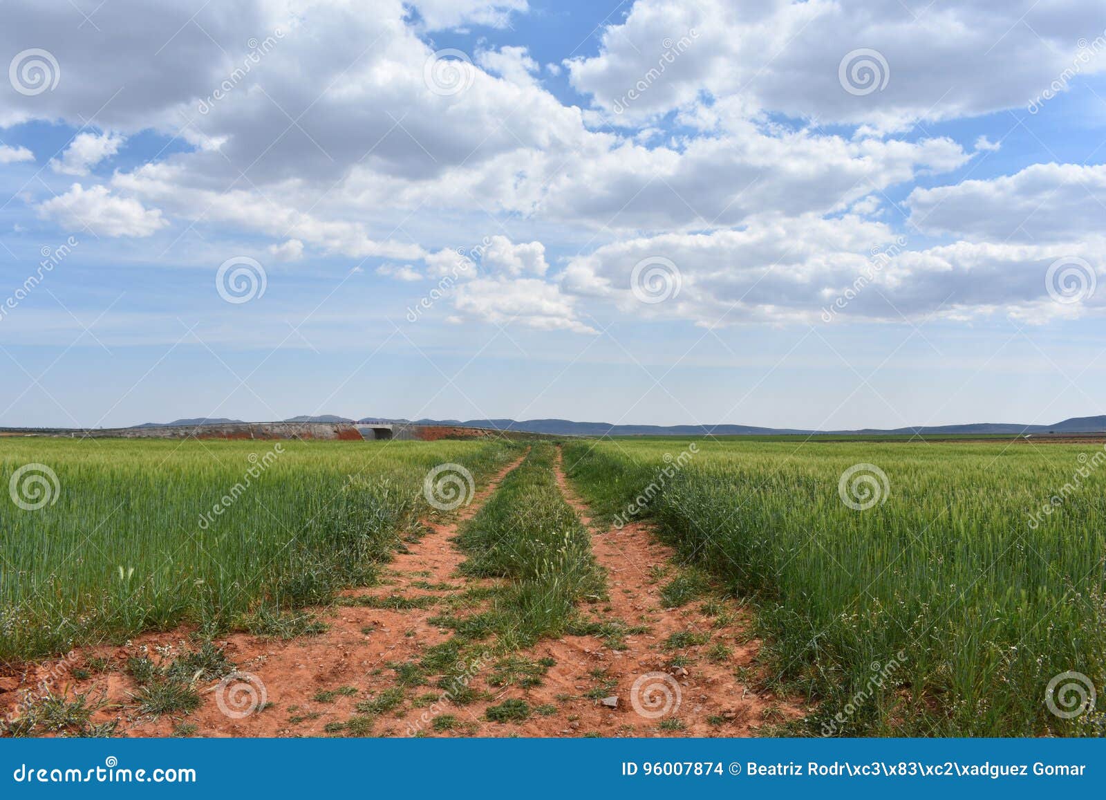 Road to town stock photo. Image of heaven, exit, town - 96007874