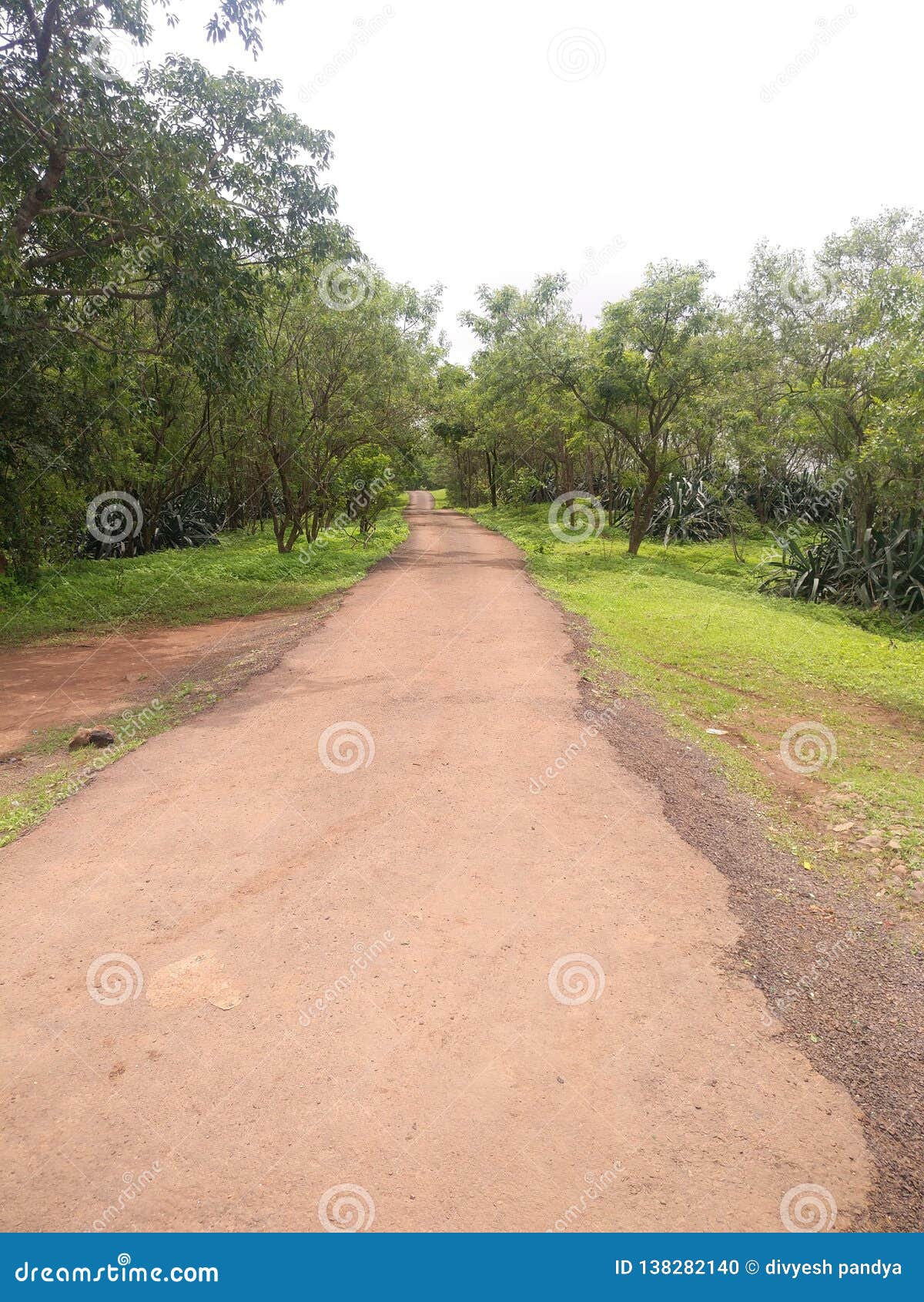 The road stock photo. Image of beauty, road, nature - 138282140