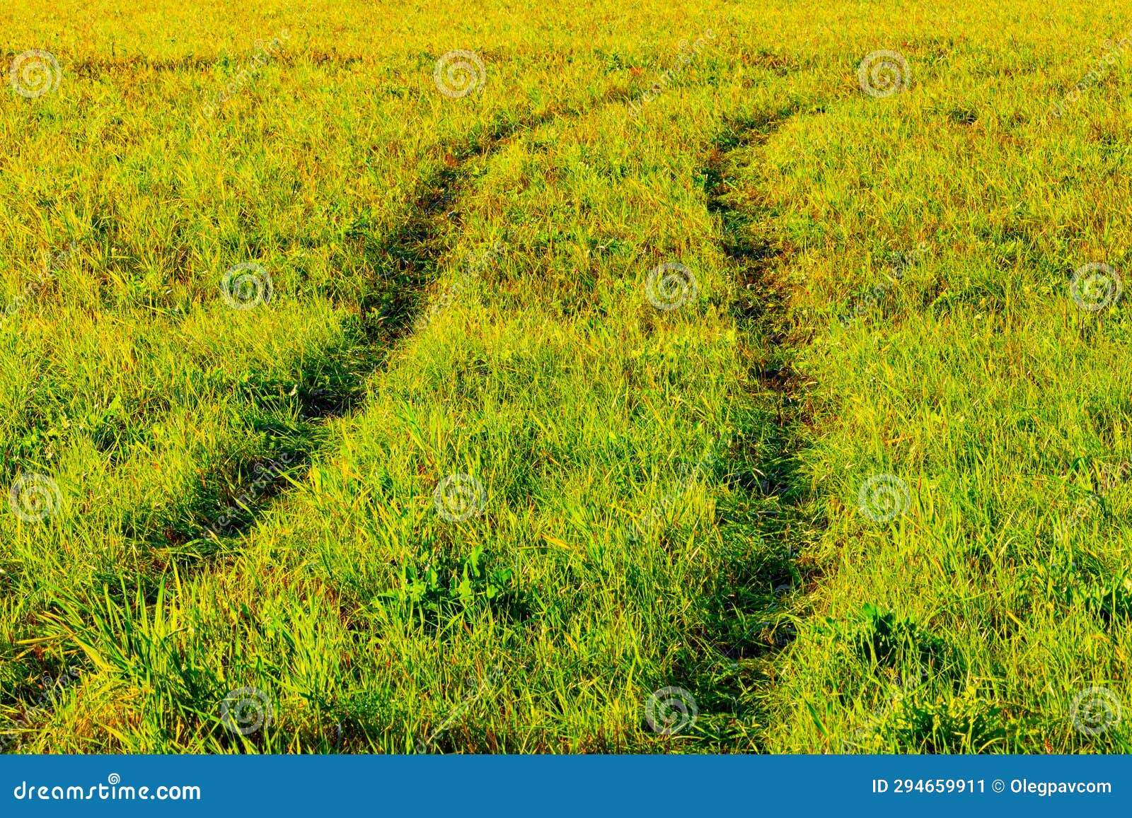 Road Track in a Field with Green Grass Stock Image - Image of trail ...