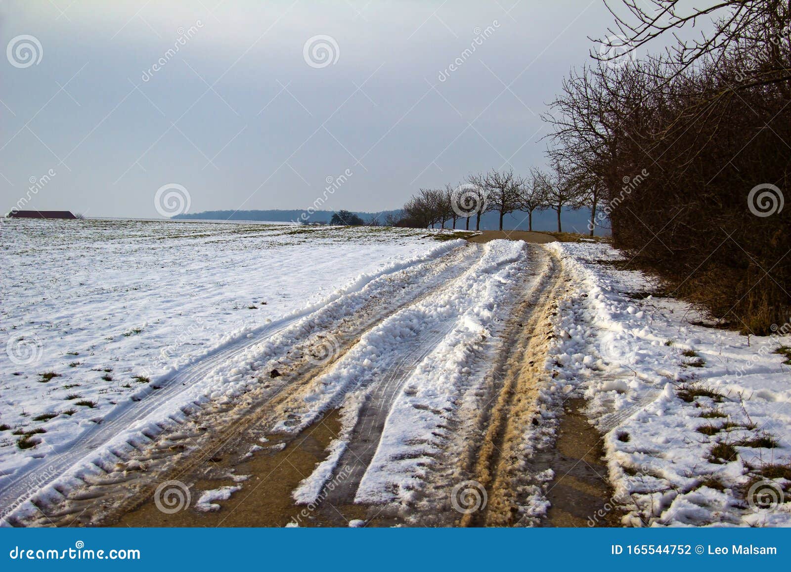 Road Track on Snow Covered Field Road Stock Photo - Image of frosty ...