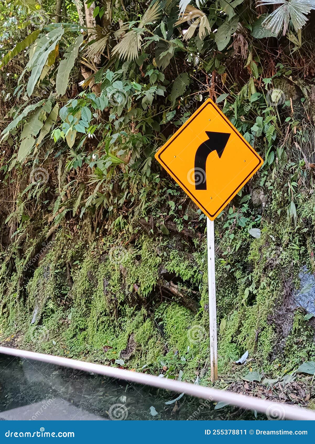Road traffic jam stock image. Image of green, flower - 255378811