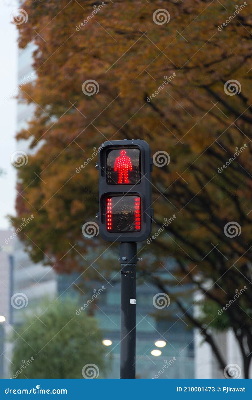 Road Traffic Lights in Japan Stock Image - Image of transportation ...