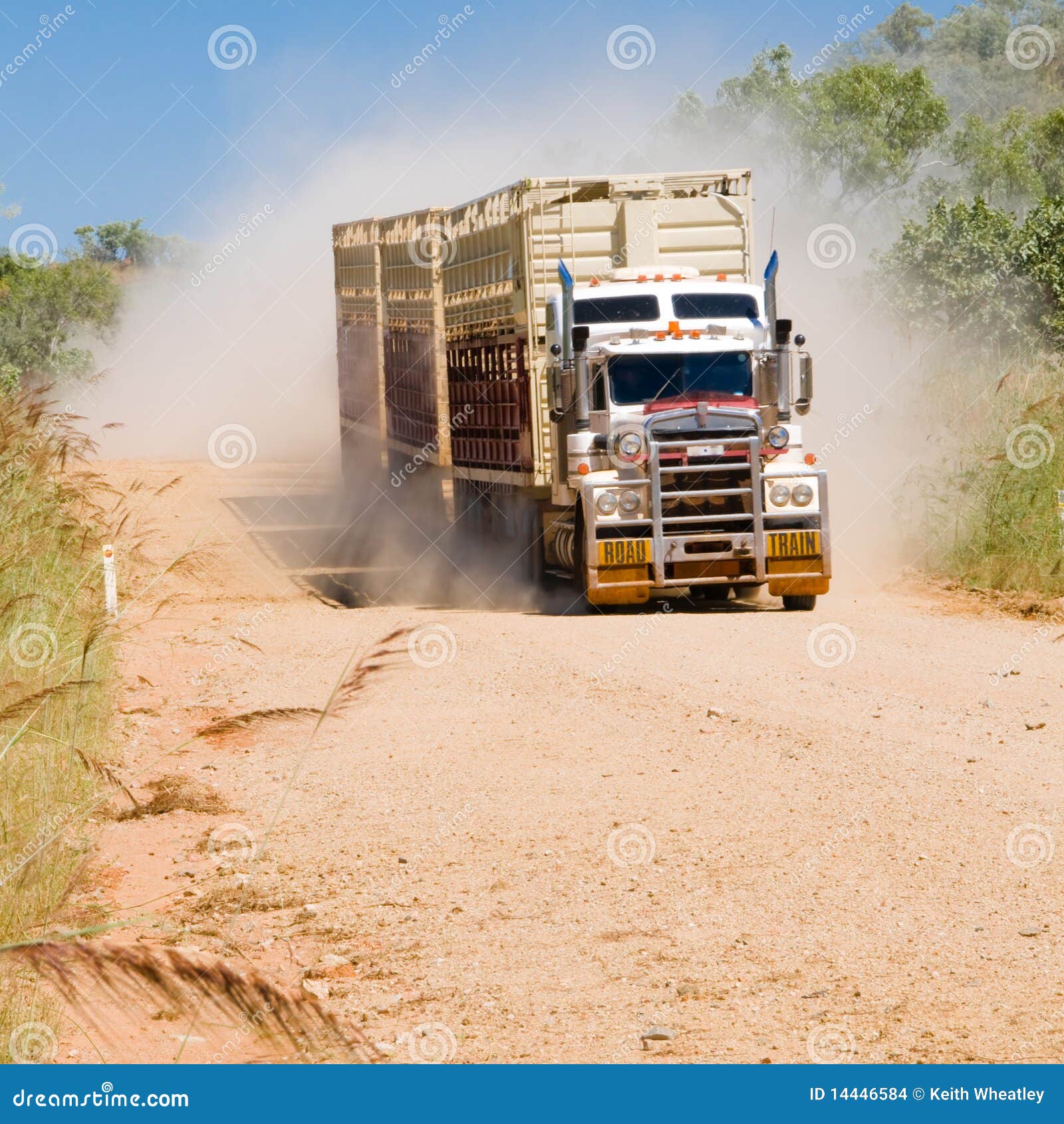 Road Train Consisting Of Two Trucks With An Extremely Long Load ...