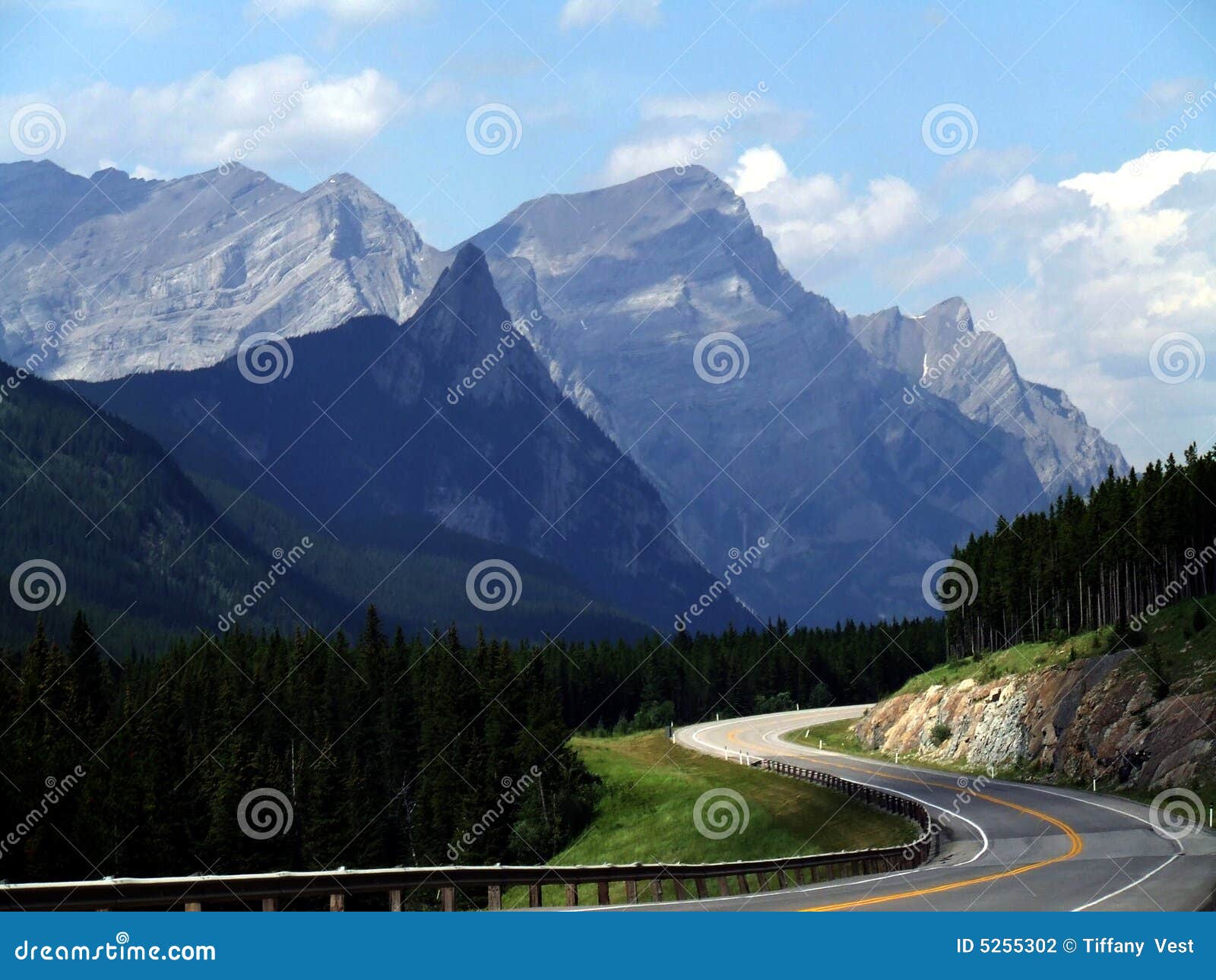 Road less Travelled - Colour Stock Photo - Image of road, hiking: 5255302