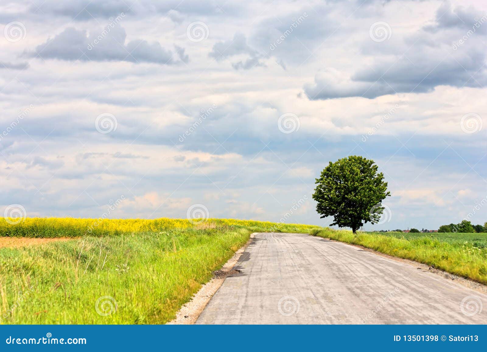 Road and tree stock photo. Image of beauty, forest, landscape - 13501398