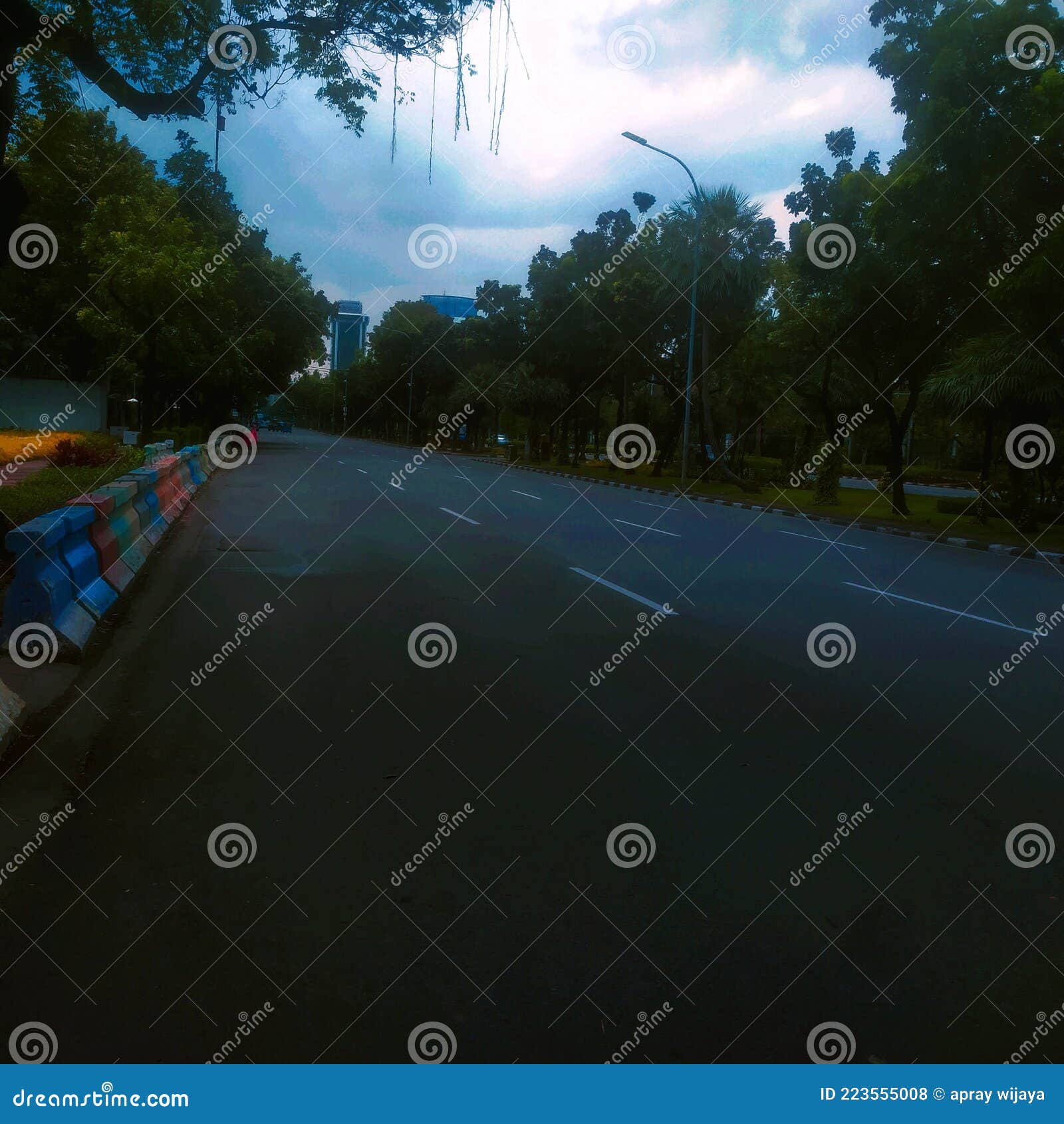 Road tree light stock photo. Image of night, plant, road - 223555008