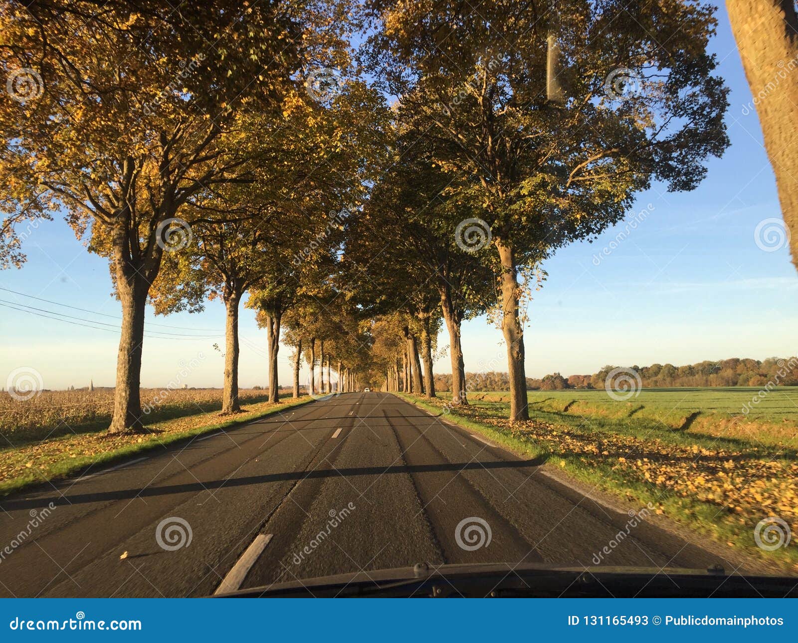 Road, Tree, Sky, Nature Picture. Image: 131165493