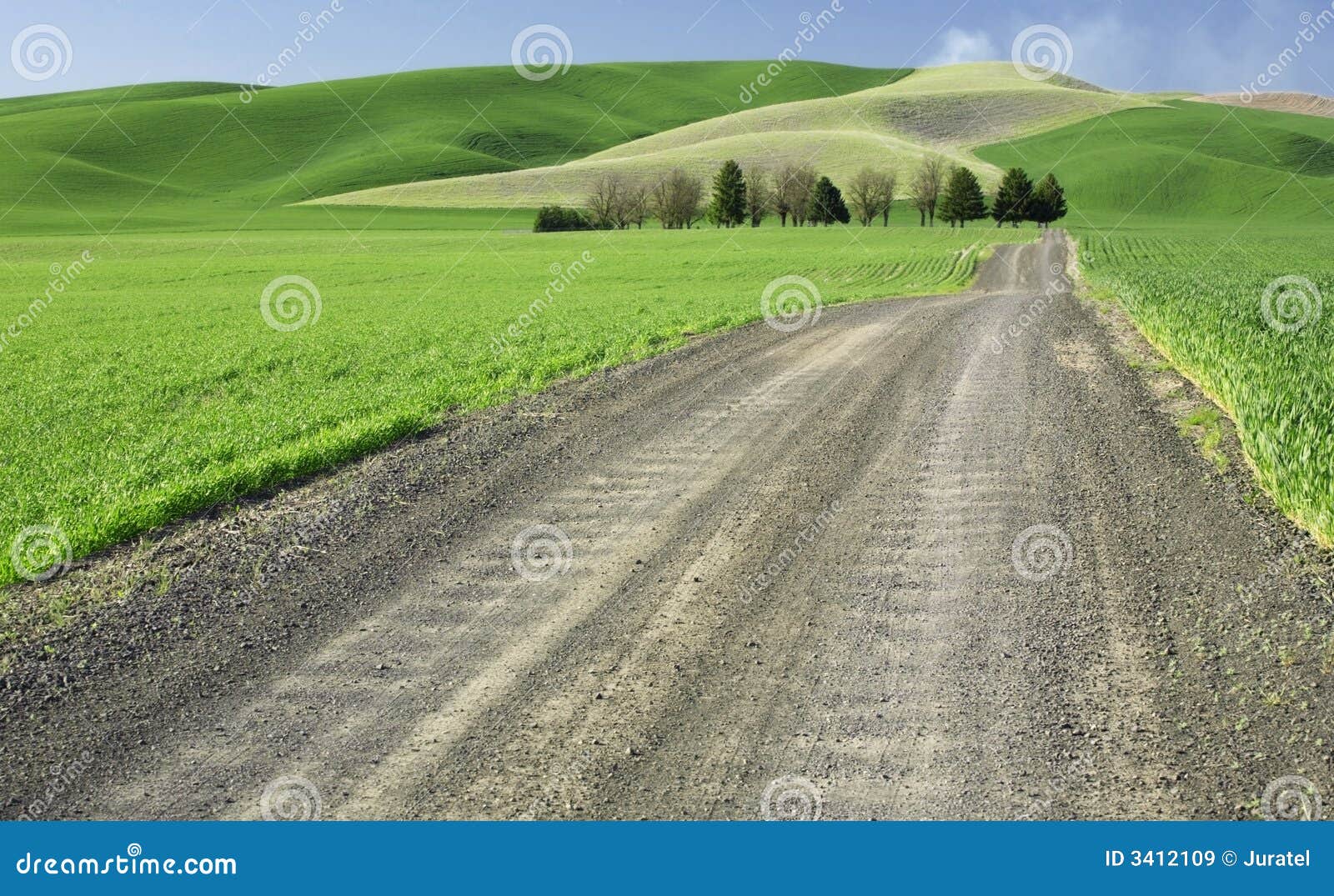 Road And Trees Picture. Image: 3412109