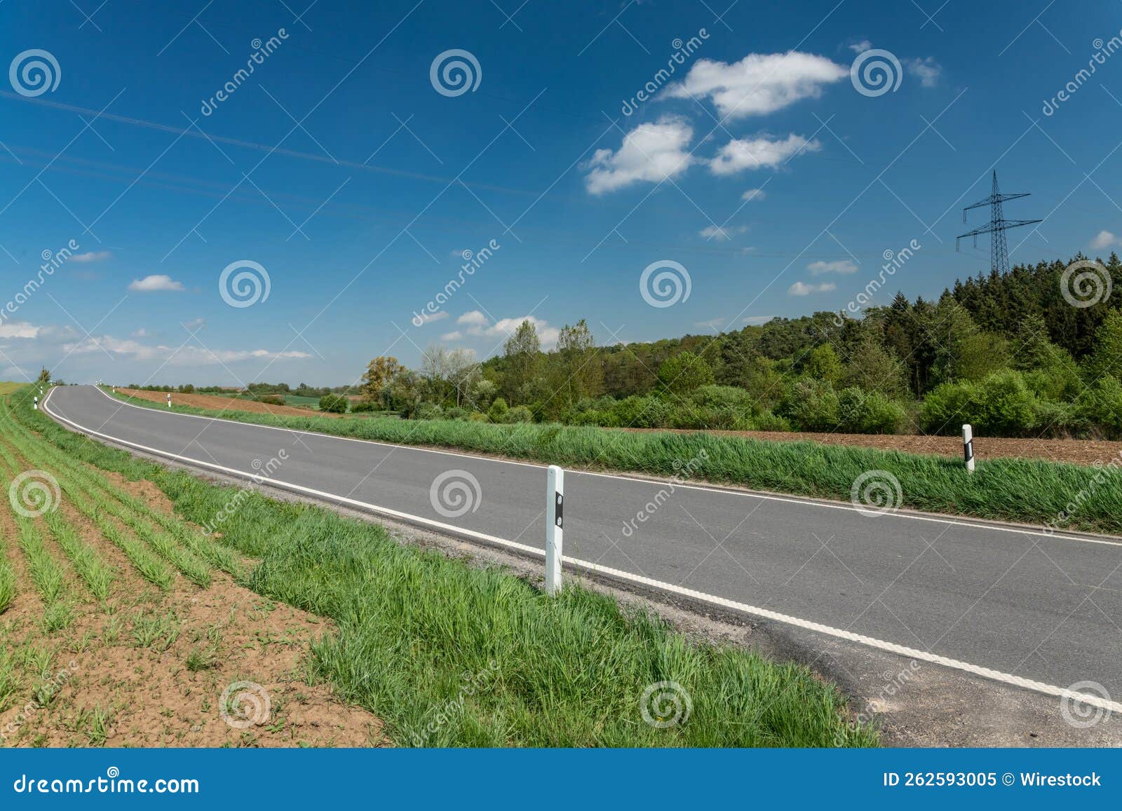 Road with Trees Alongside Under the Blue Sky Stock Image - Image of ...