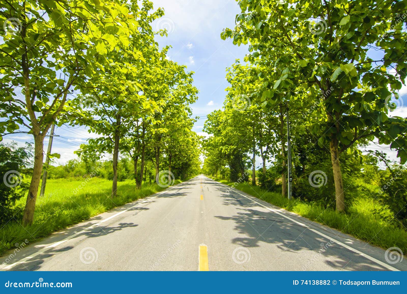 Road with Trees on Both Sides Stock Photo - Image of taiwan, scenery ...