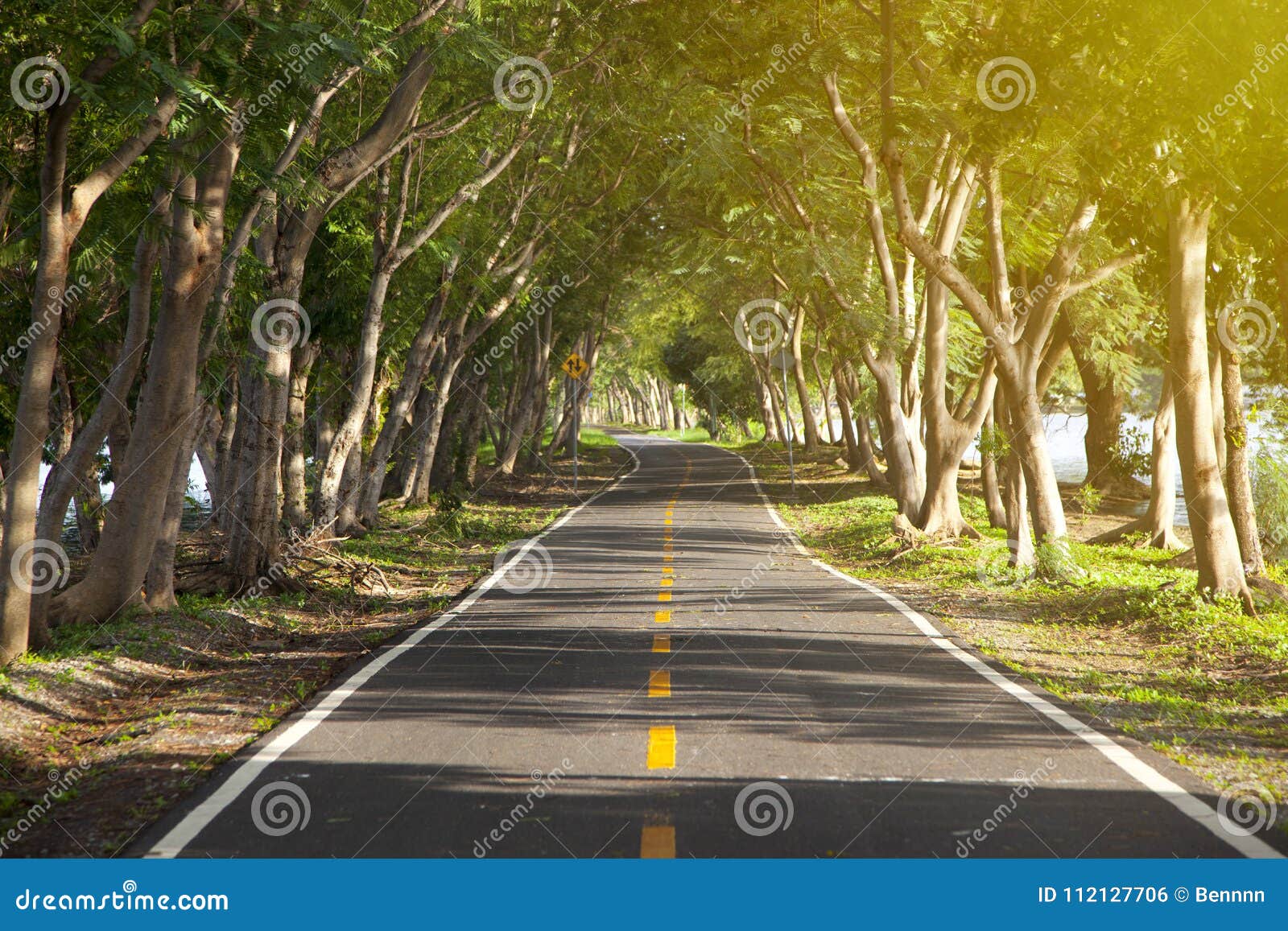 Road with Trees on Both Sides Stock Photo - Image of point, keywords ...