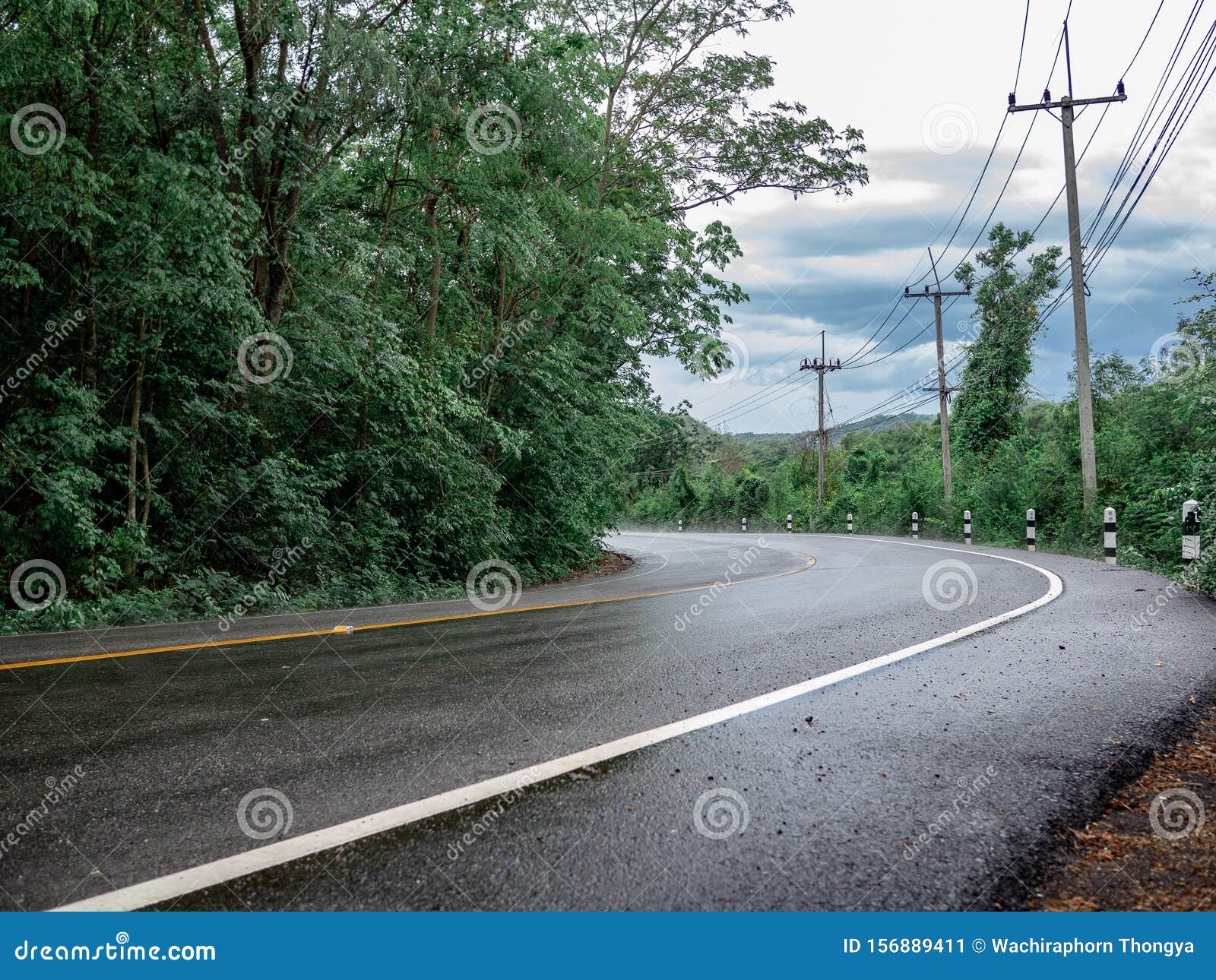 Road with Trees on Both Sides Stock Image - Image of composite, highway ...