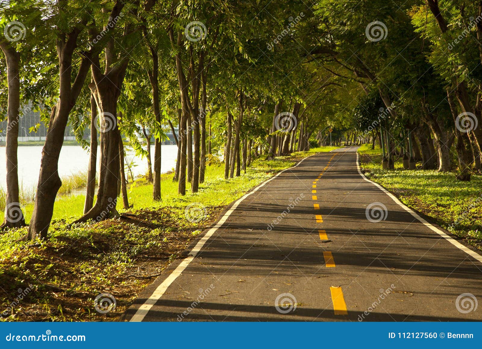 Road with Trees on Both Sides Stock Photo - Image of curve, concept ...