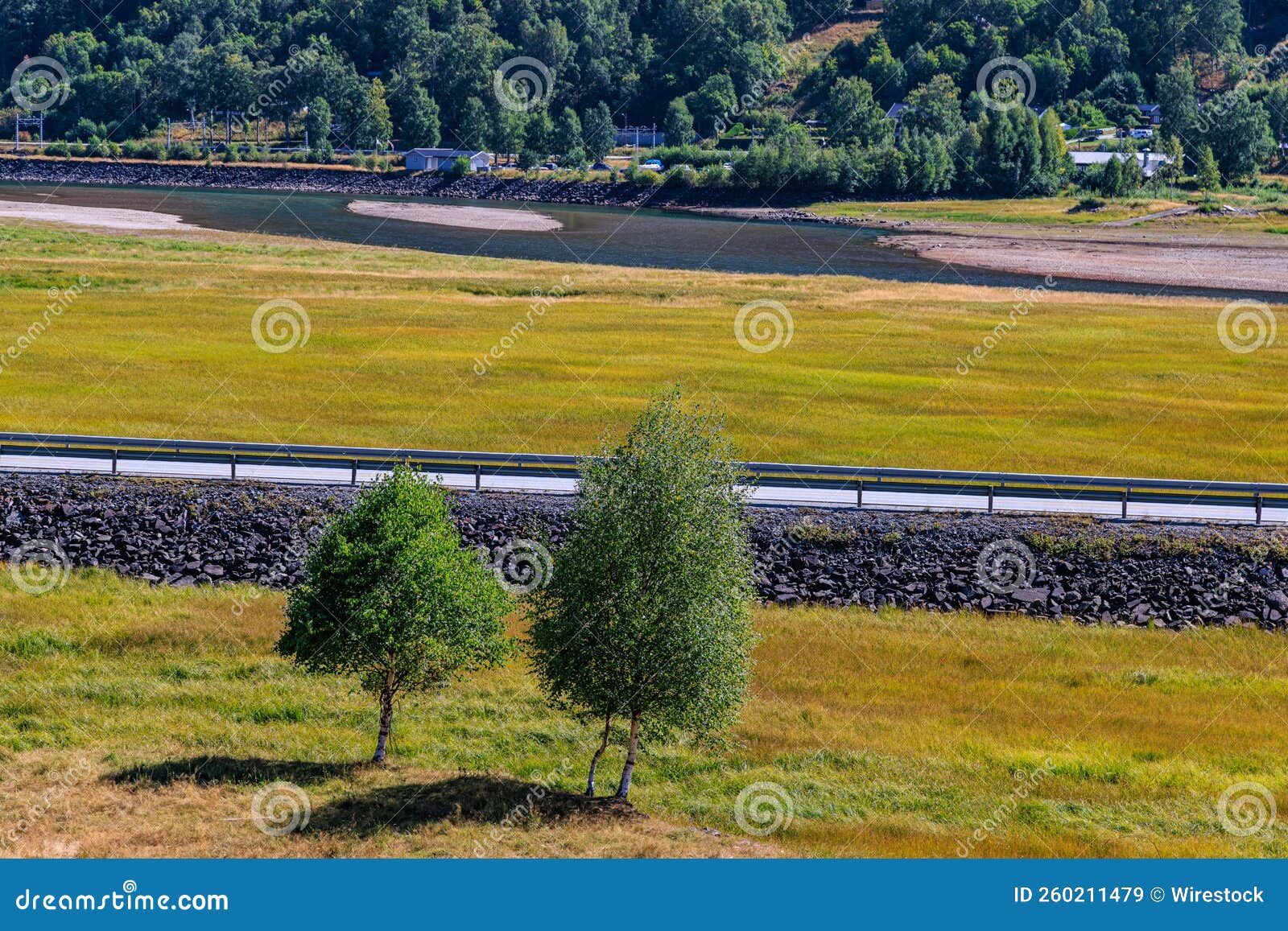 Road and Trees during Daytime Stock Image - Image of cultivated, trees ...