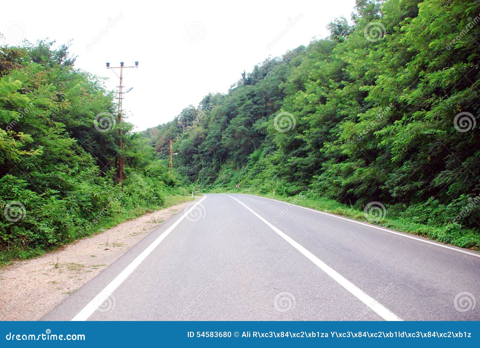 Road between Trees and Grass on Roadside Stock Photo - Image of ...
