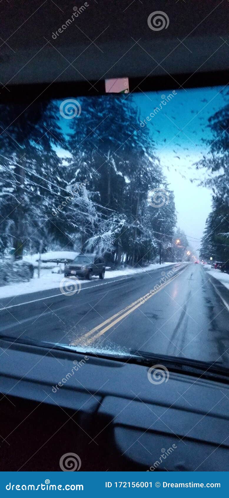 Road Trees and Lights Winter Stock Image - Image of birds, lights ...