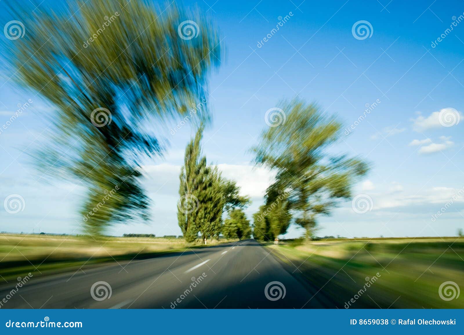 48,484 Trees Motion Photos - Free & Royalty-Free Stock Photos from ...