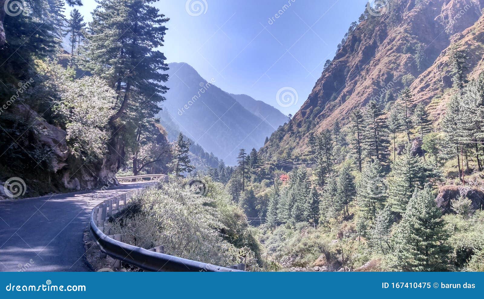 Road Trees Mountain Shimla Manali Sky Stock Image - Image of trees ...