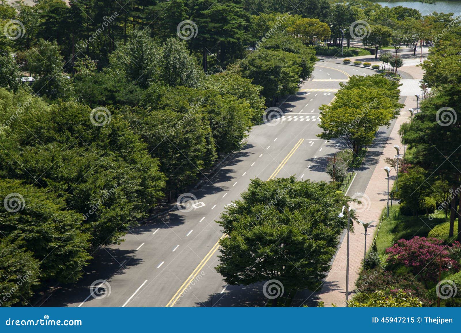 Road with trees in a park stock image. Image of landscape - 45947215