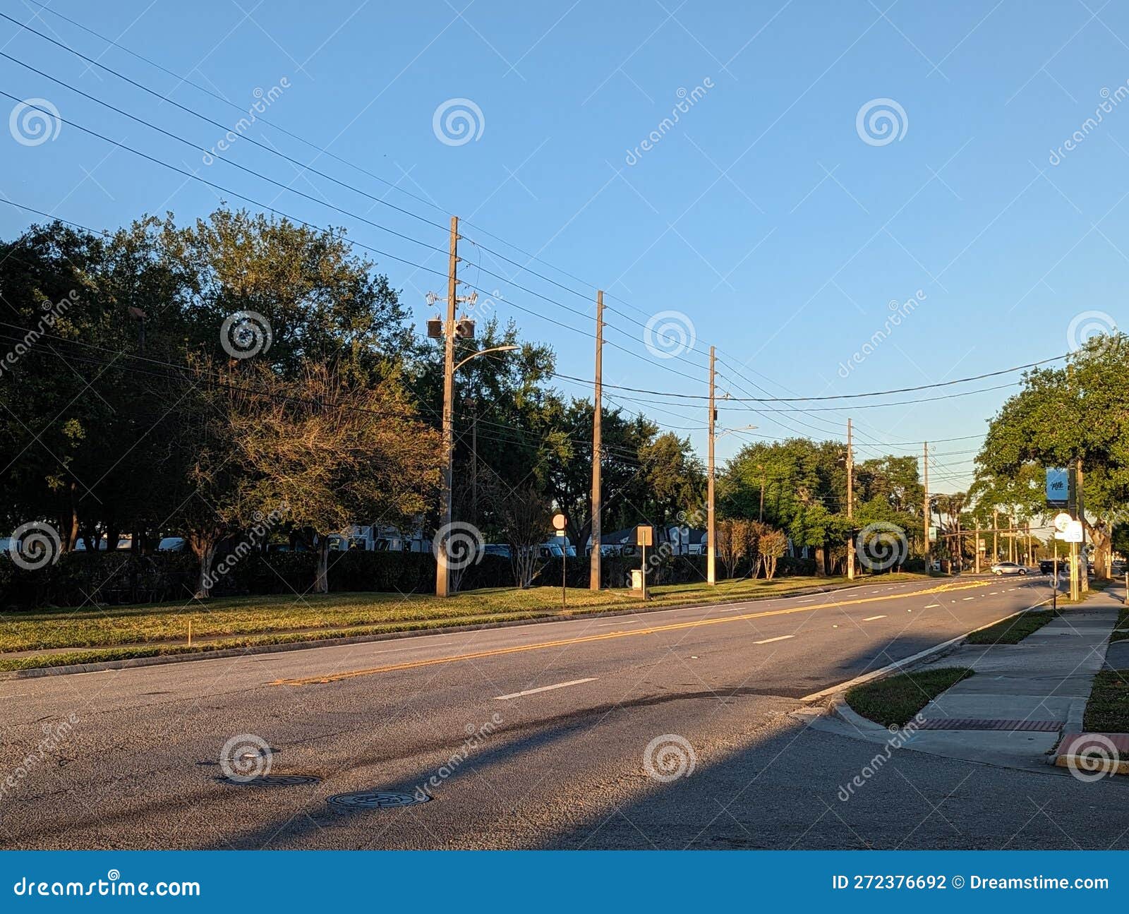 Road with Trees and Power Lines Stock Photo - Image of neighbourhood ...