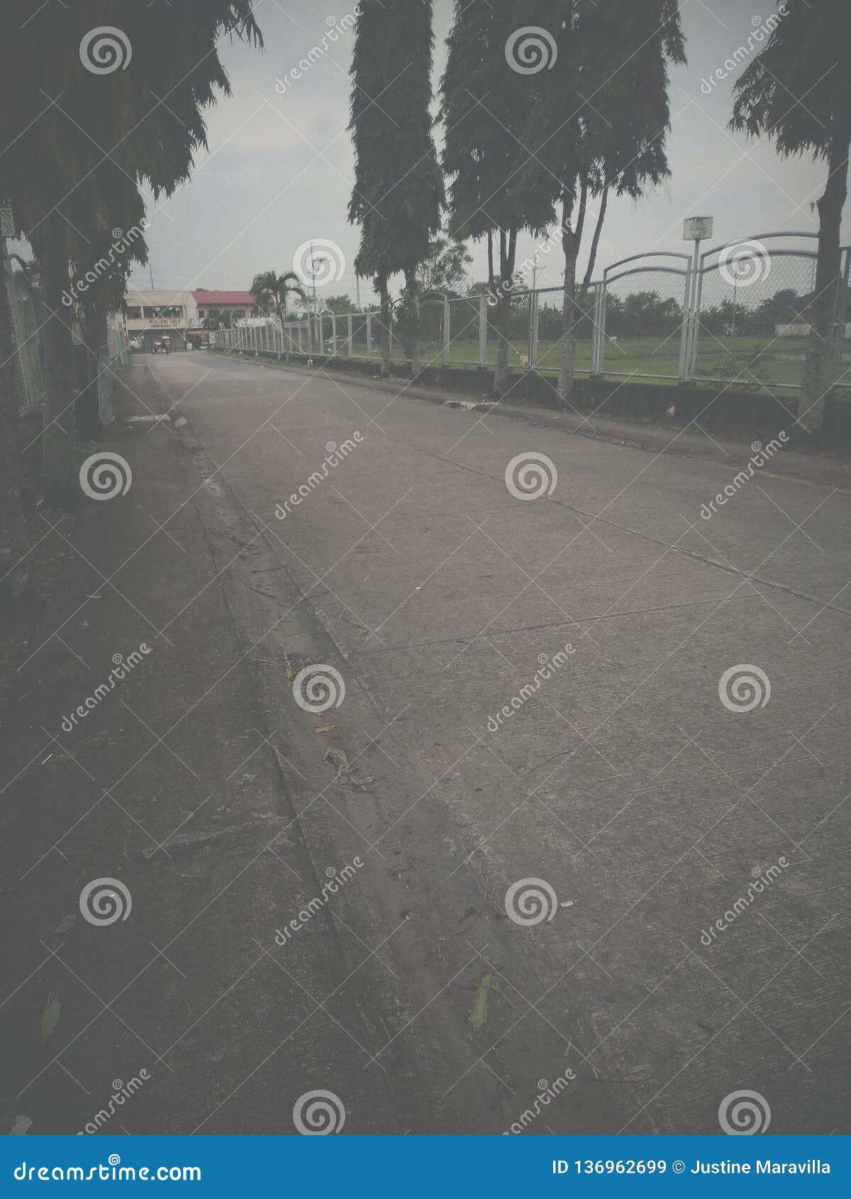 Road editorial stock image. Image of trees, vsco, road - 136962699