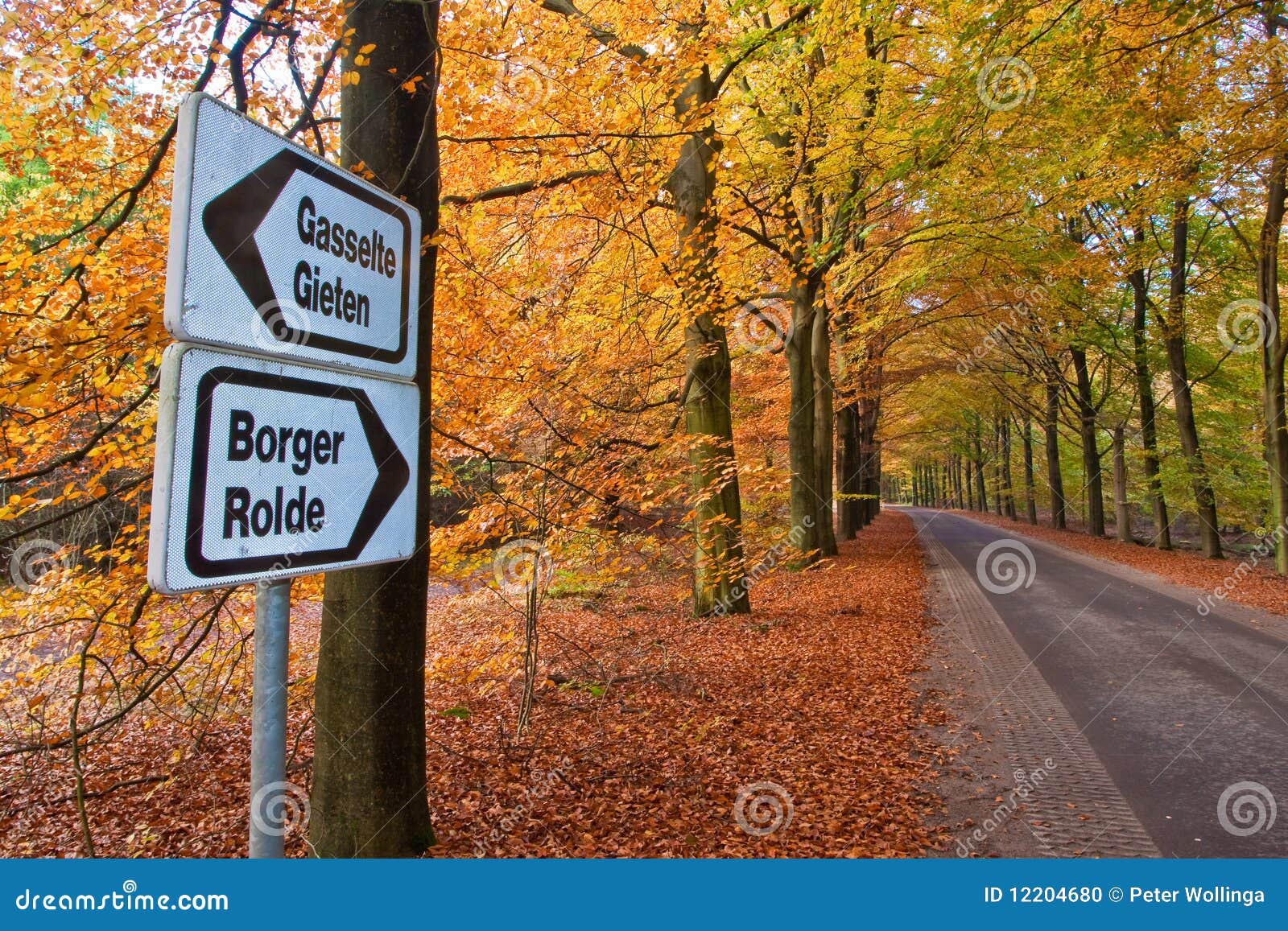 Road with Trees and Road Sign Stock Photo - Image of landscape, nature ...