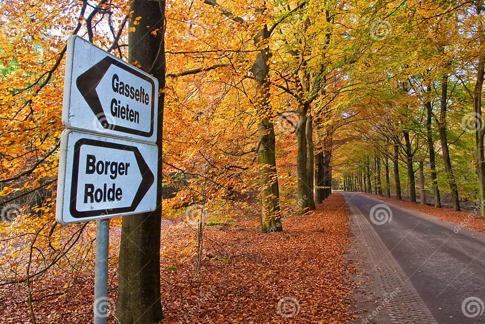 Road with Trees and Road Sign Stock Photo - Image of landscape, nature ...