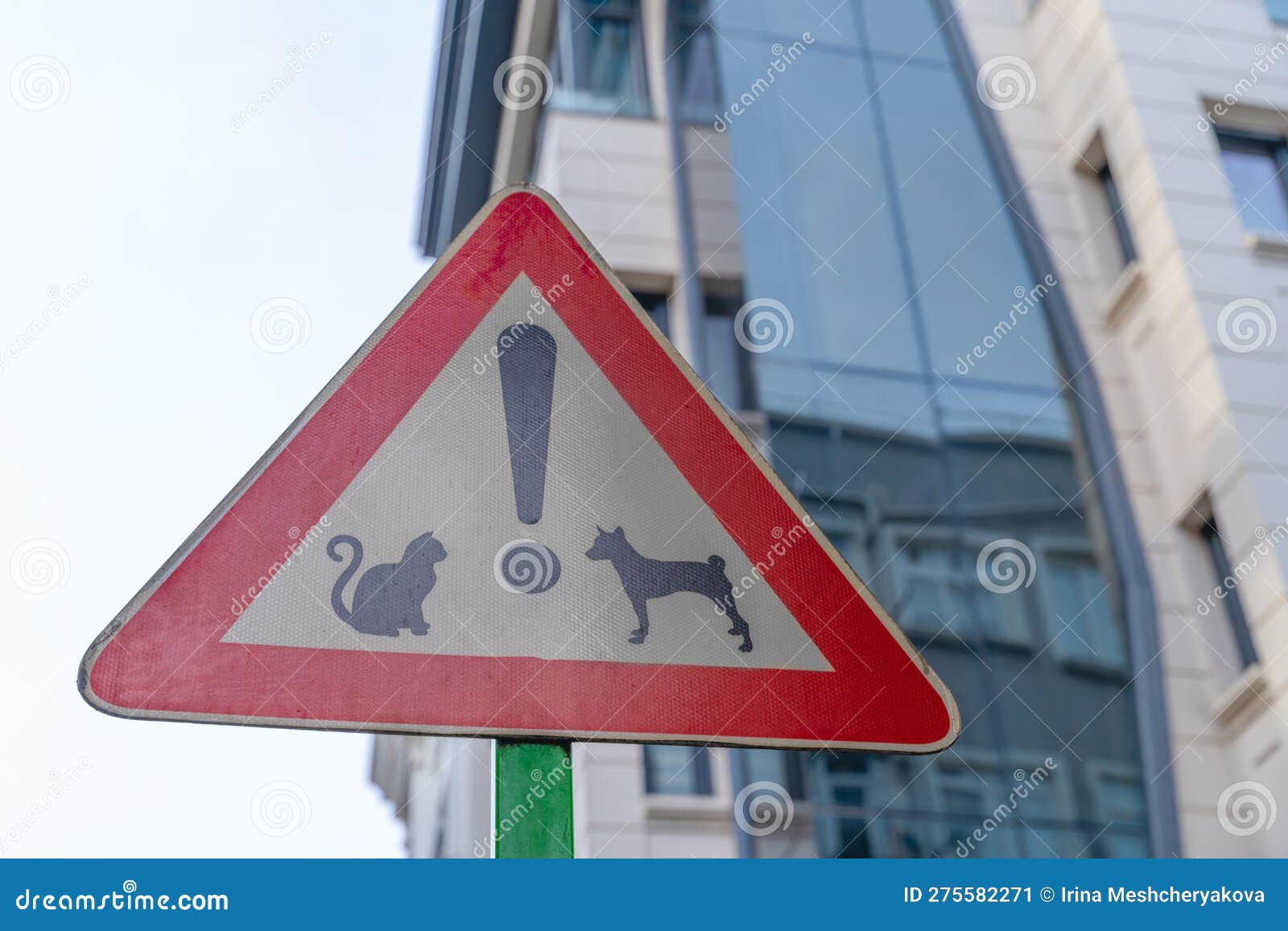 Road Triangular Sign Red-white Protection of Street Animals Image of ...