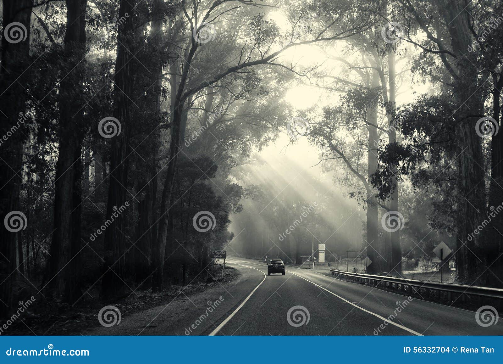 Car Travelling on Road with Sun Rays Shining through Stock Photo ...