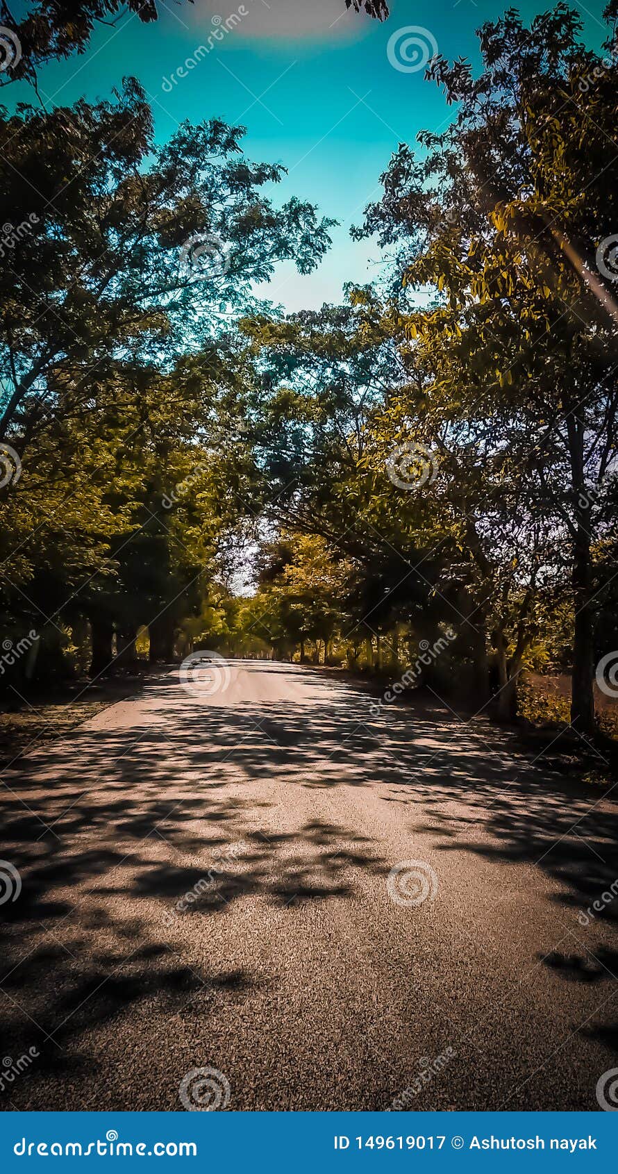 Road trip stock image. Image of view, trip, street, trees - 149619017