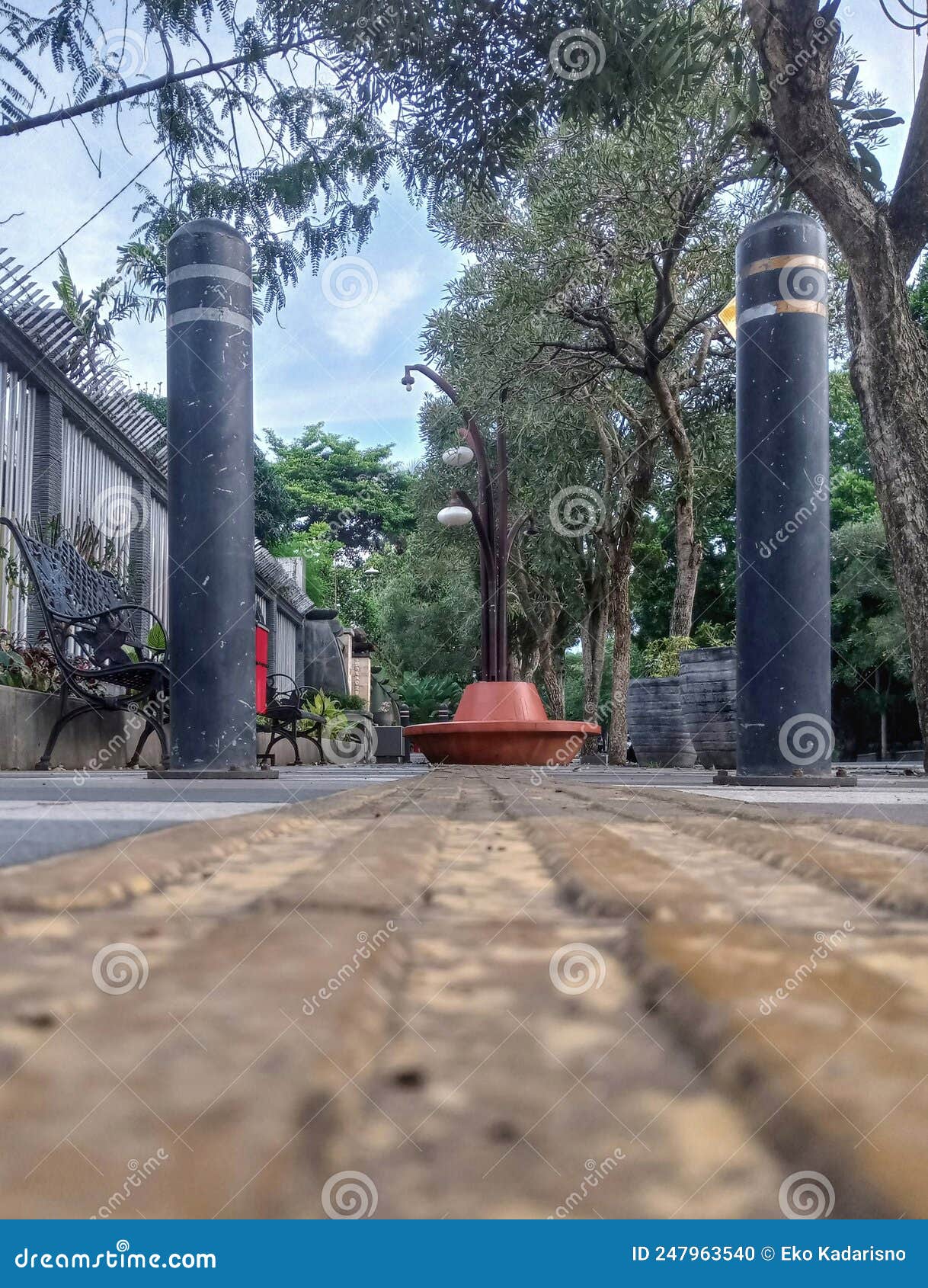 On Road Trotoar stock photo. Image of lamp, trees, road - 247963540