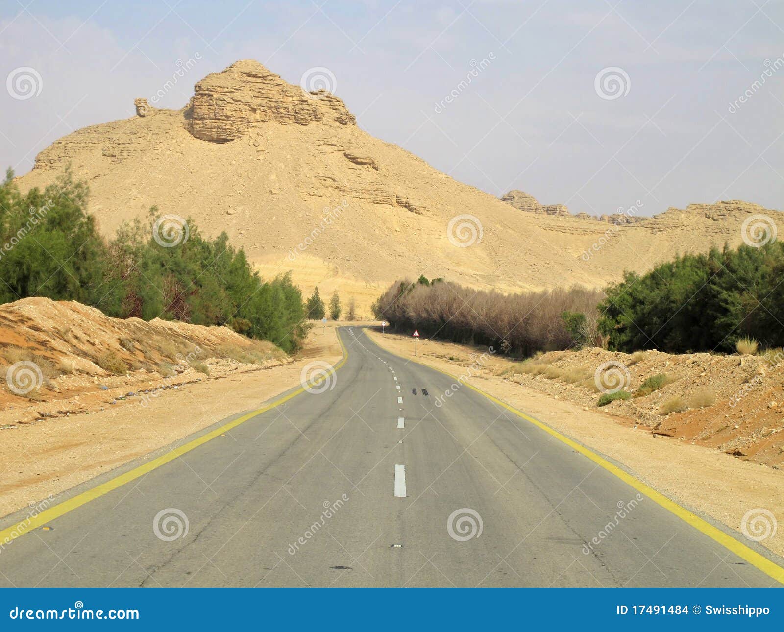 Road trough the Desert stock photo. Image of dune, asia - 17491484