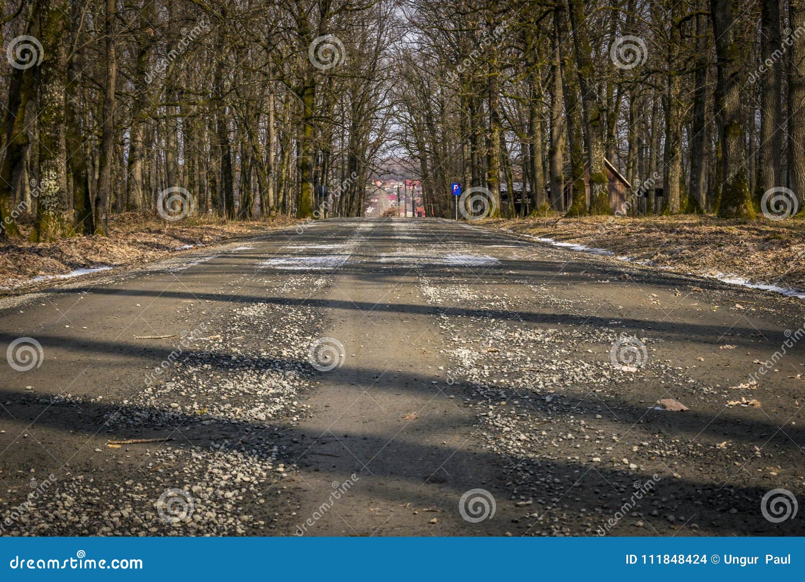 Road Trough The Forest Stock Photo | CartoonDealer.com #111848424