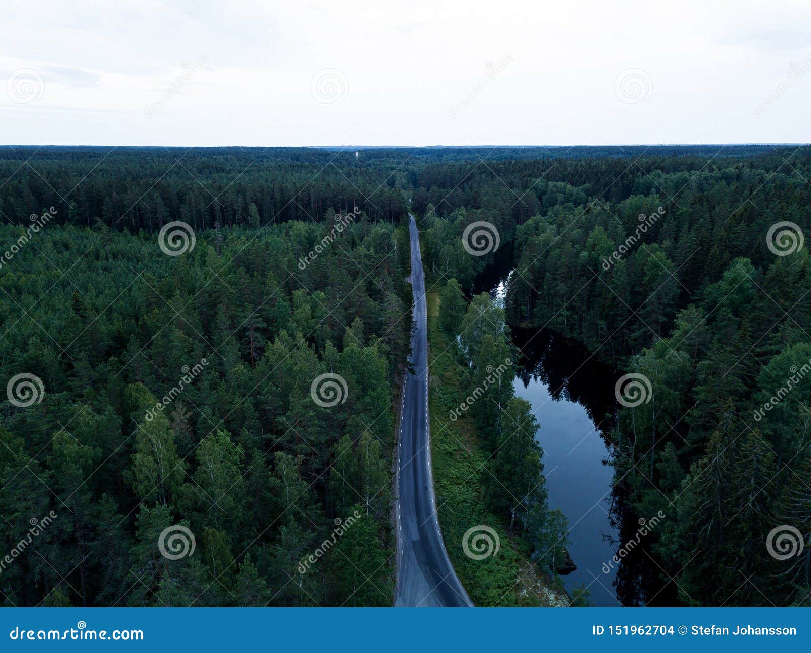 Road trough forest stock photo. Image of transport, forest - 151962704