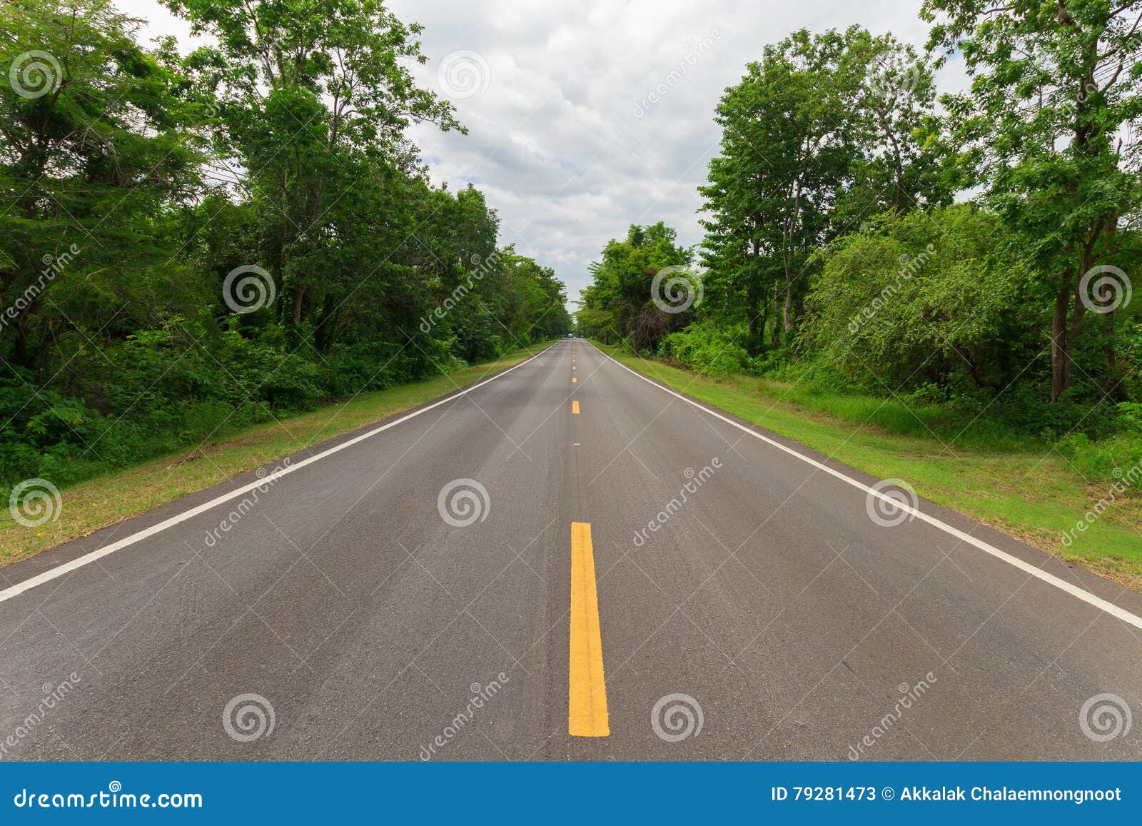 Road trough the forest stock image. Image of drive, thailand - 79281473