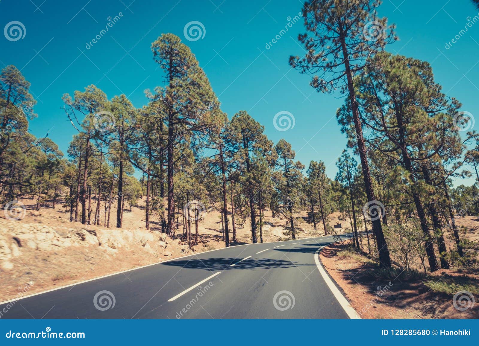 Road Trough Forest, Mountain Landscape - Highway and Nature Stock Photo ...
