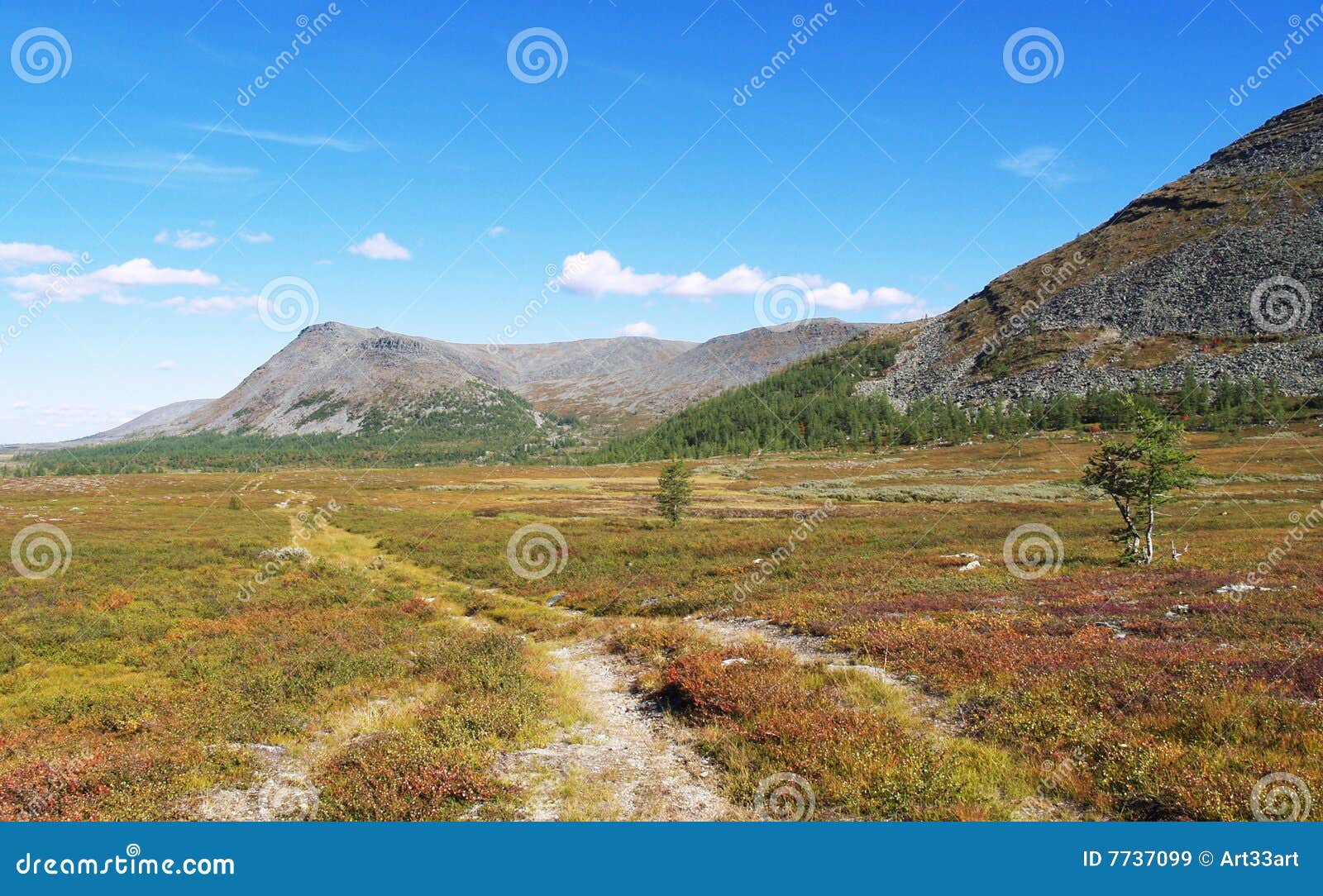 Road in tundra stock image. Image of plant, barren, cloud - 7737099