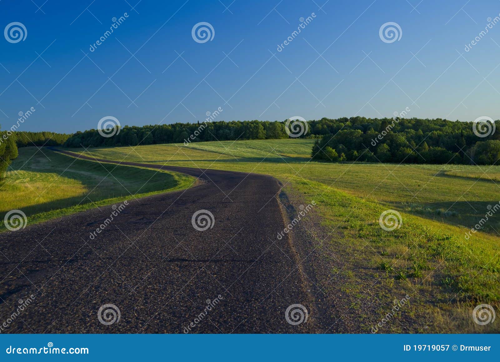 Road turn stock image. Image of bright, trees, lawn, black - 19719057