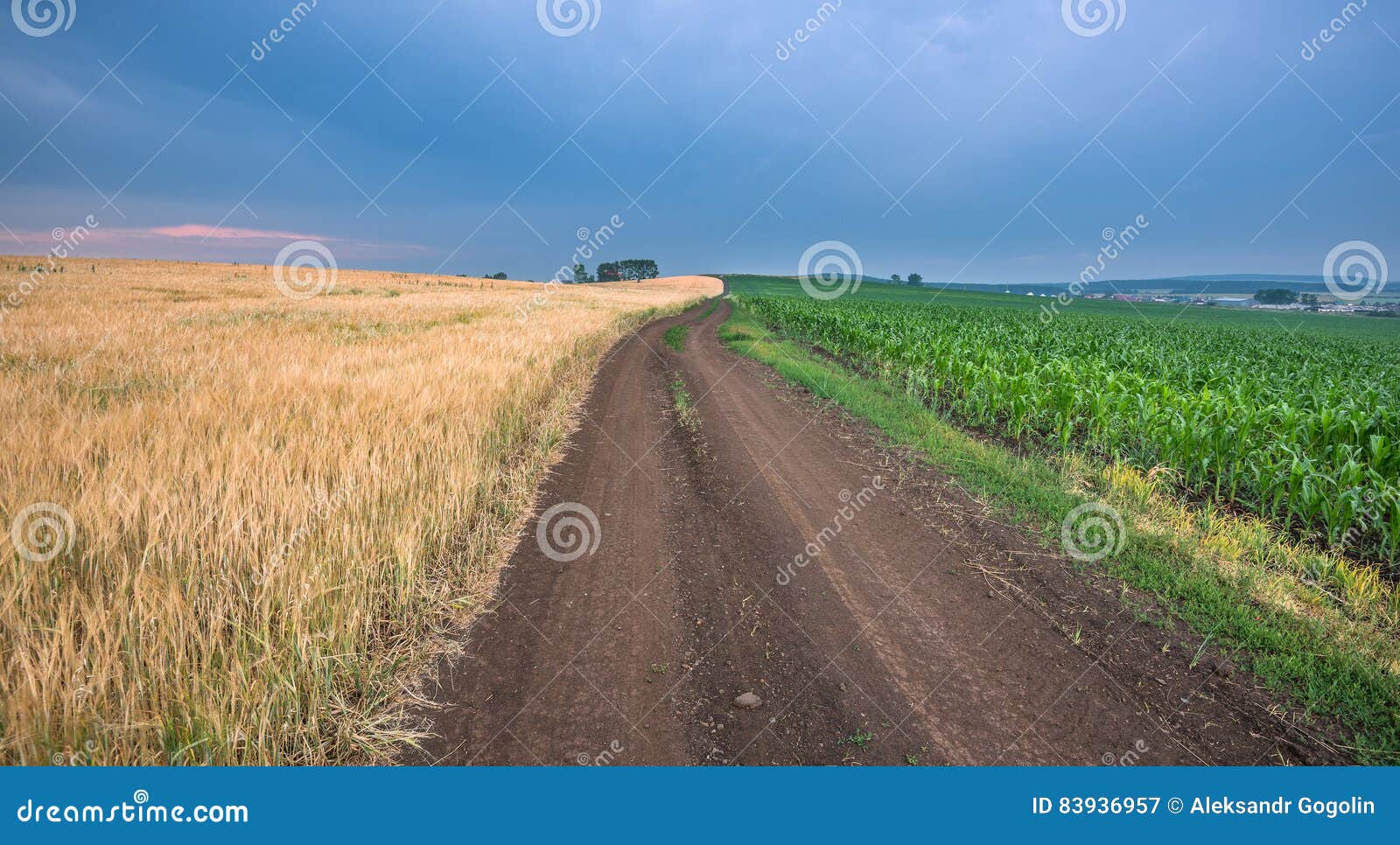 A road between two fields stock image. Image of farming - 83936957