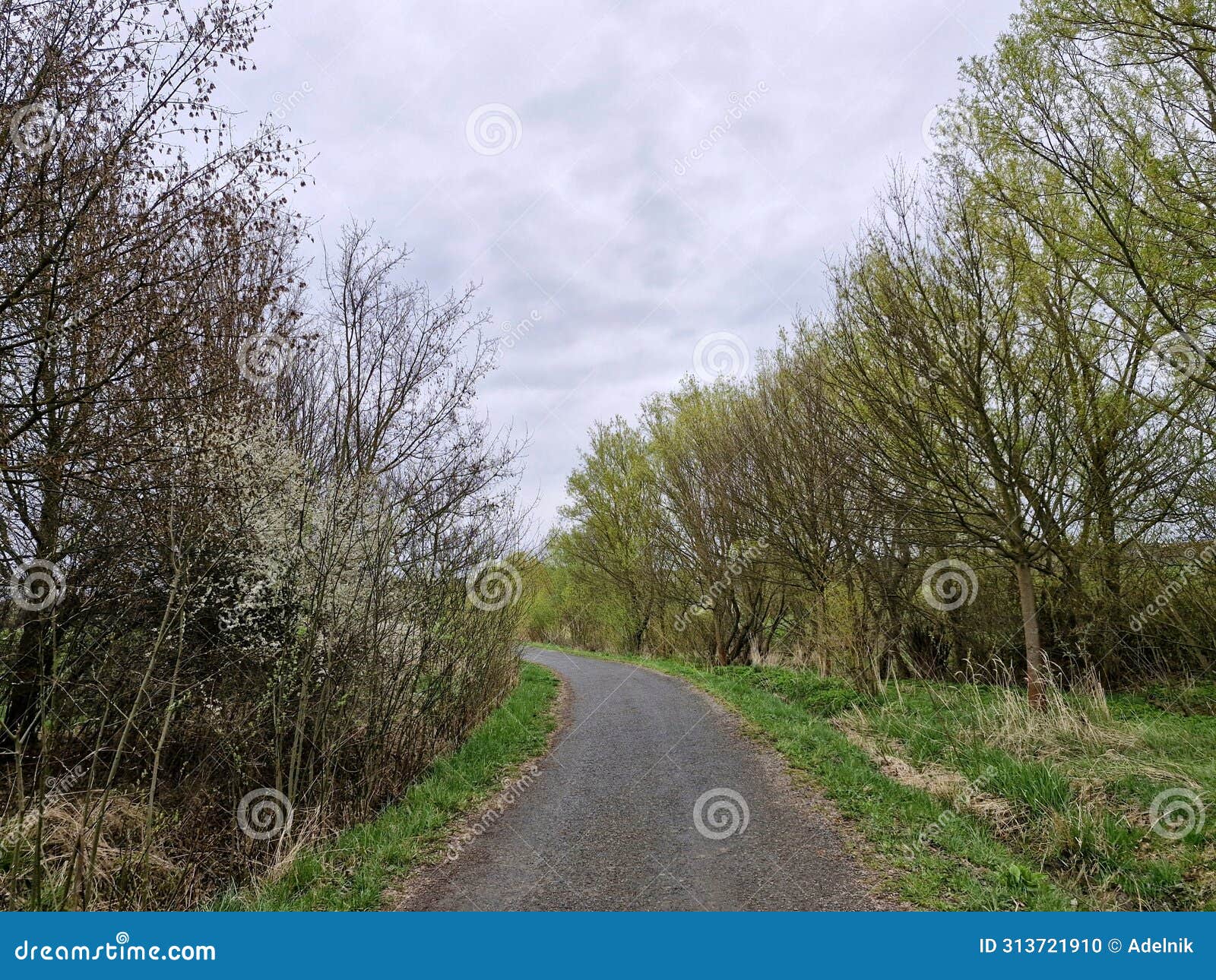 A Road between Two Fields with Trees and Bushes on Both Sides Stock ...